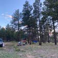 Coconino Rim Road Dispersed Camping | Grand Canyon, AZ
