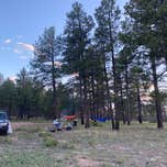 Coconino Rim Road Dispersed Camping | Grand Canyon, AZ