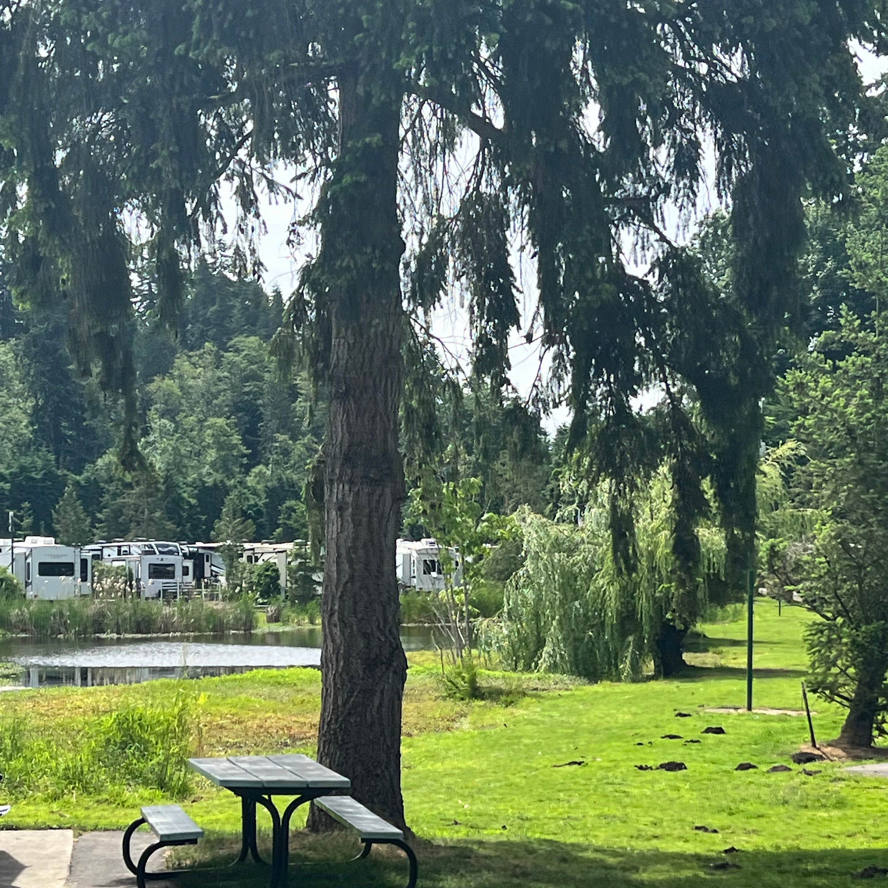 Lake Pleasant RV Park | Bothell, WA