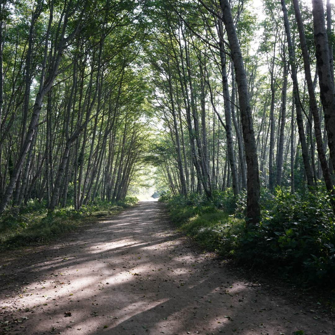 Usal Beach Campsites — Sinkyone Wilderness State Park | Leggett, California