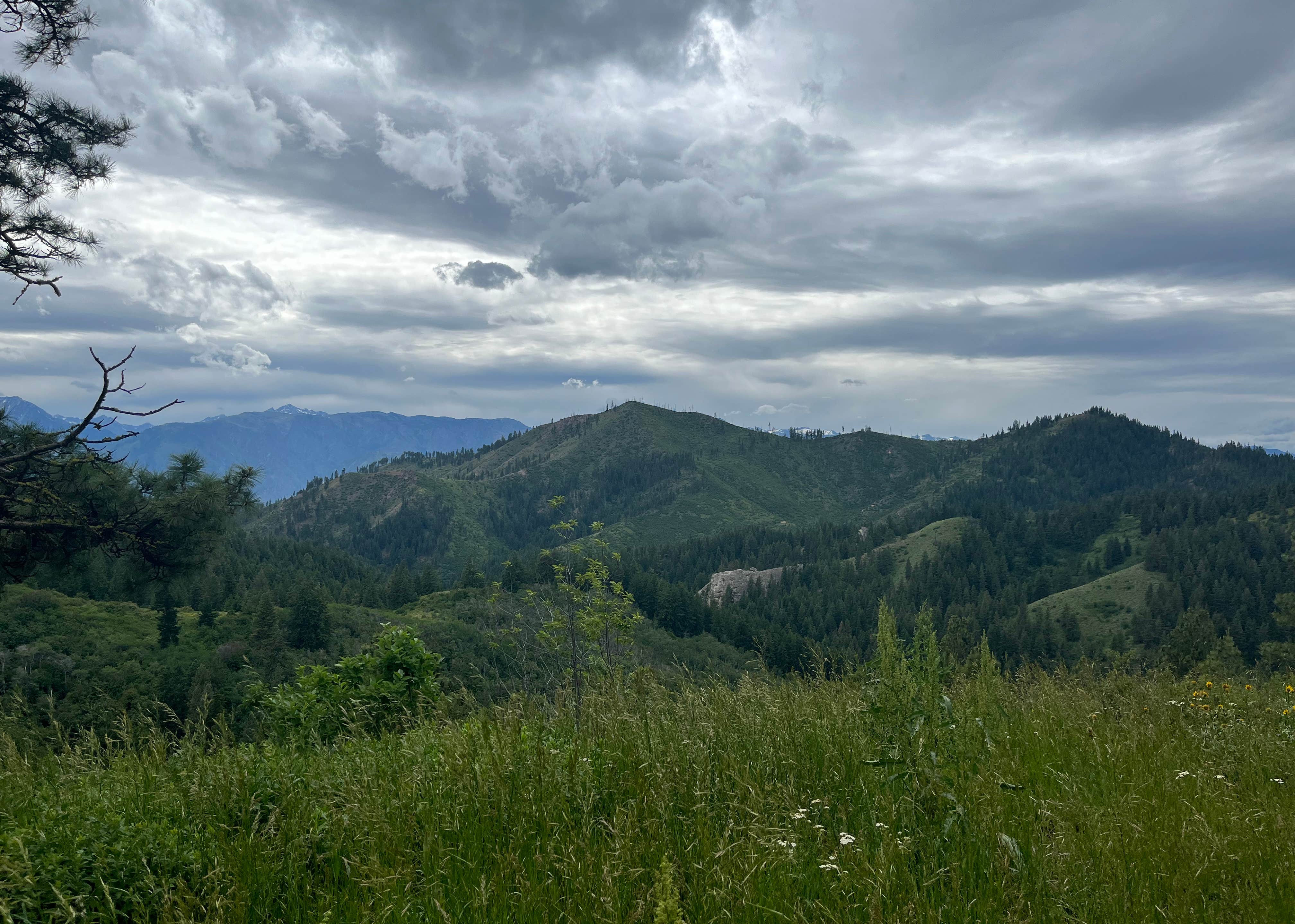 Okanogan-Wenatchee National Forest Dispersed Camping on Derby Rd NF7400 ...