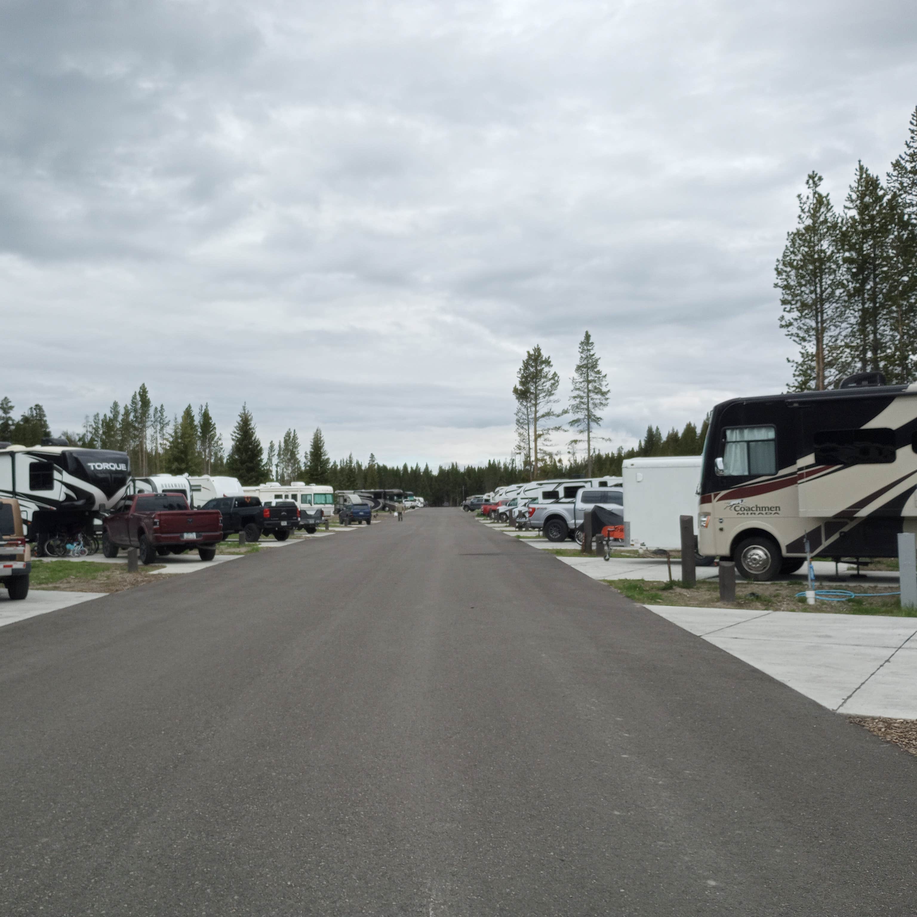 Fishing Bridge RV Park--Yellowstone National Park | Yellowstone ...