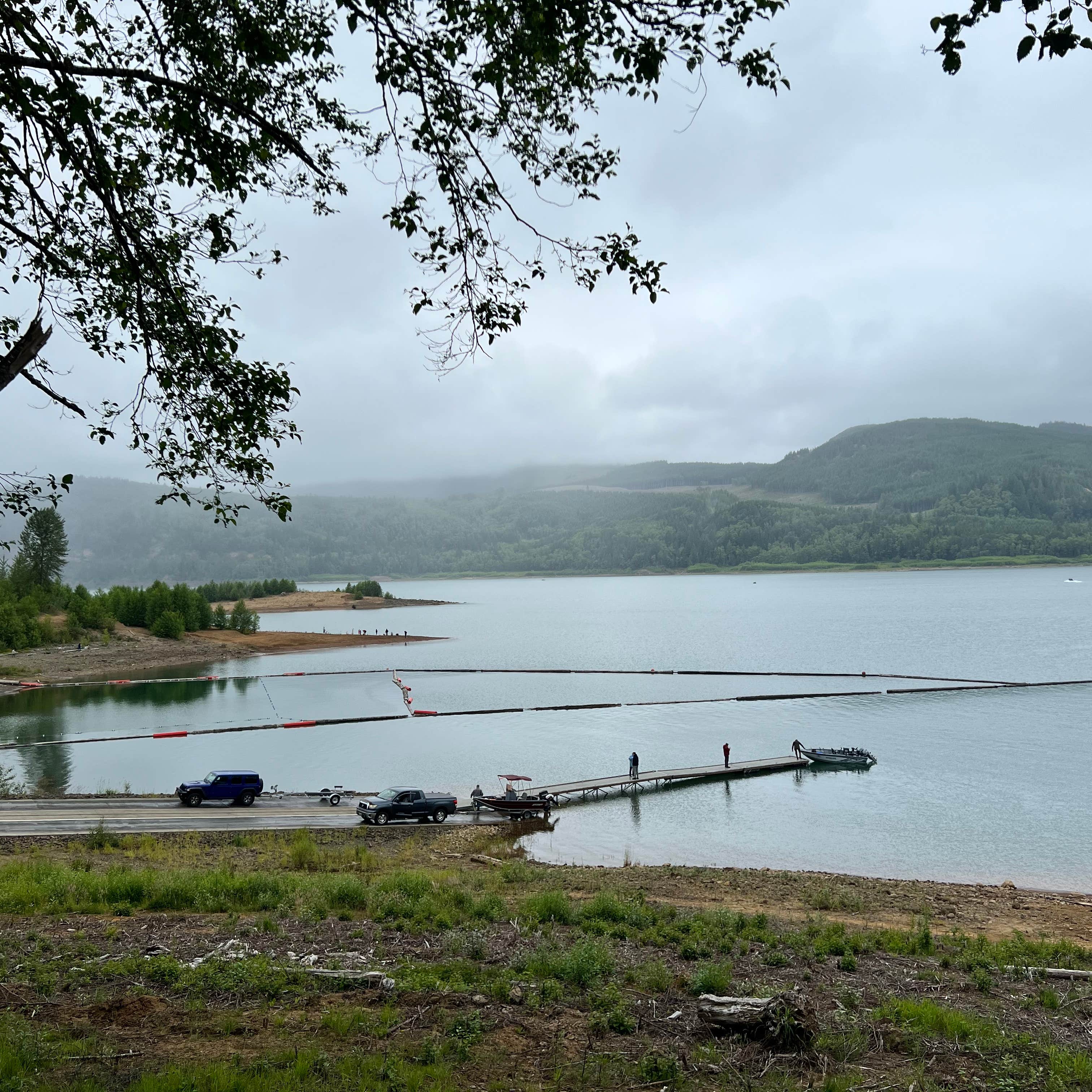 Mossyrock Park Camping | Mossyrock, WA