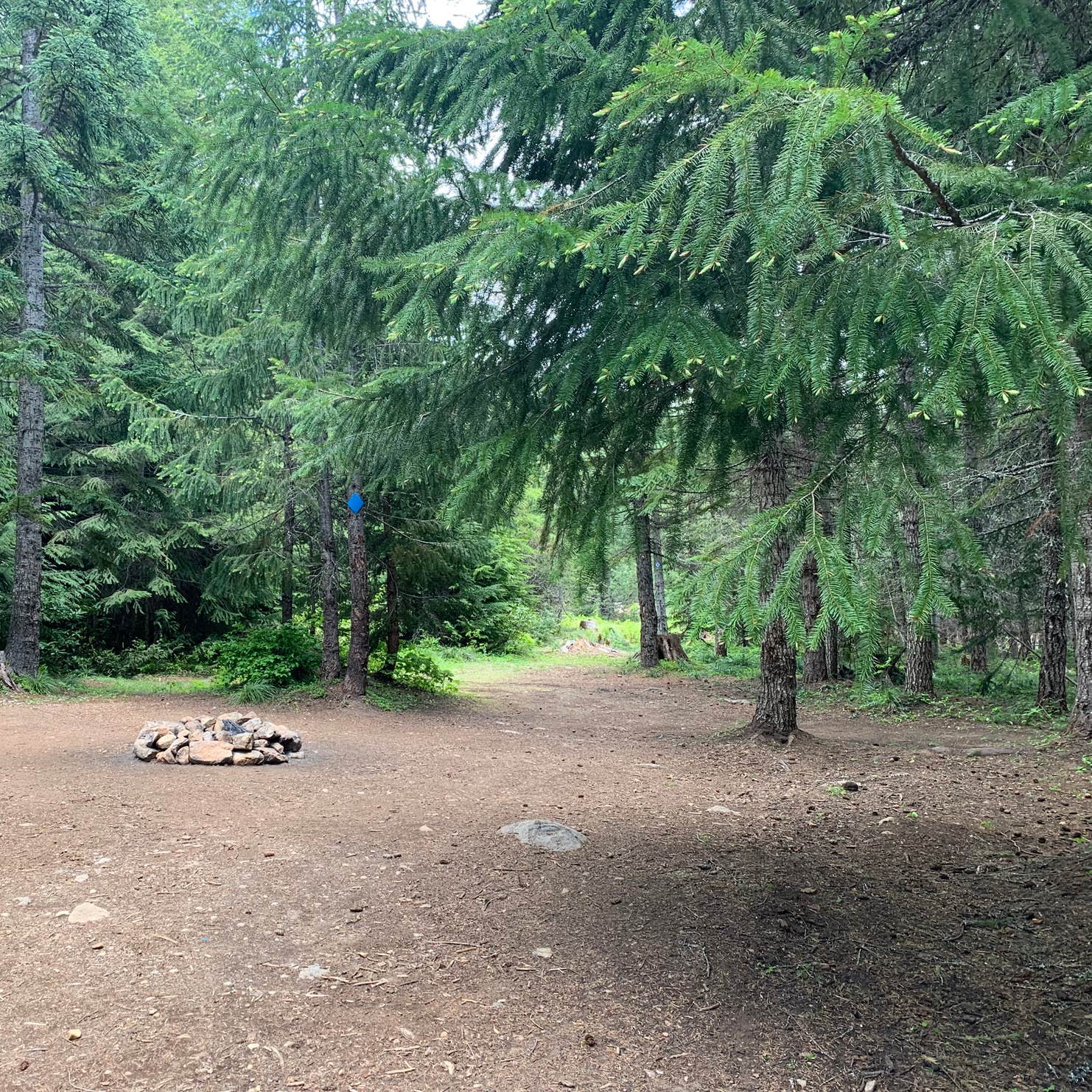 NF2656 - Mt. Hood Dispersed Camping | Government Camp, Oregon