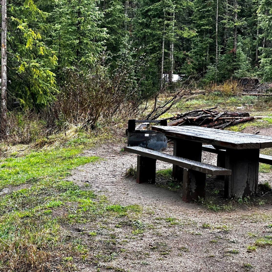 Monarch Park Camping | Salida, CO