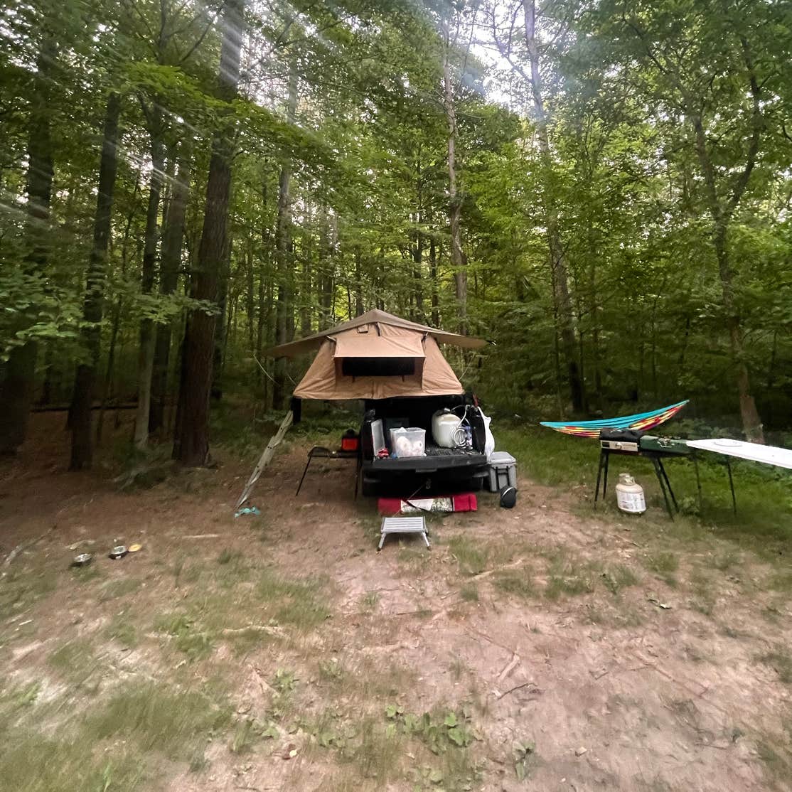 Berry Ridge Road - Dispersed Camping Camping | The Dyrt