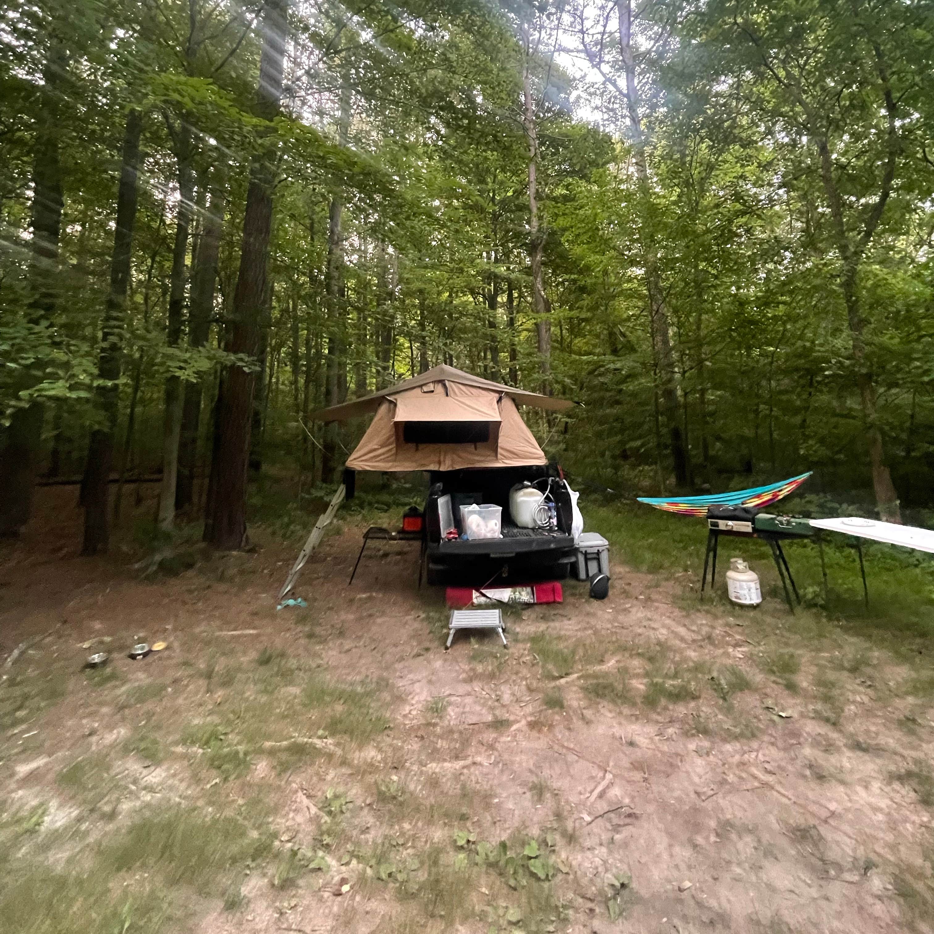 Berry Ridge Road - Dispersed Camping Camping | The Dyrt