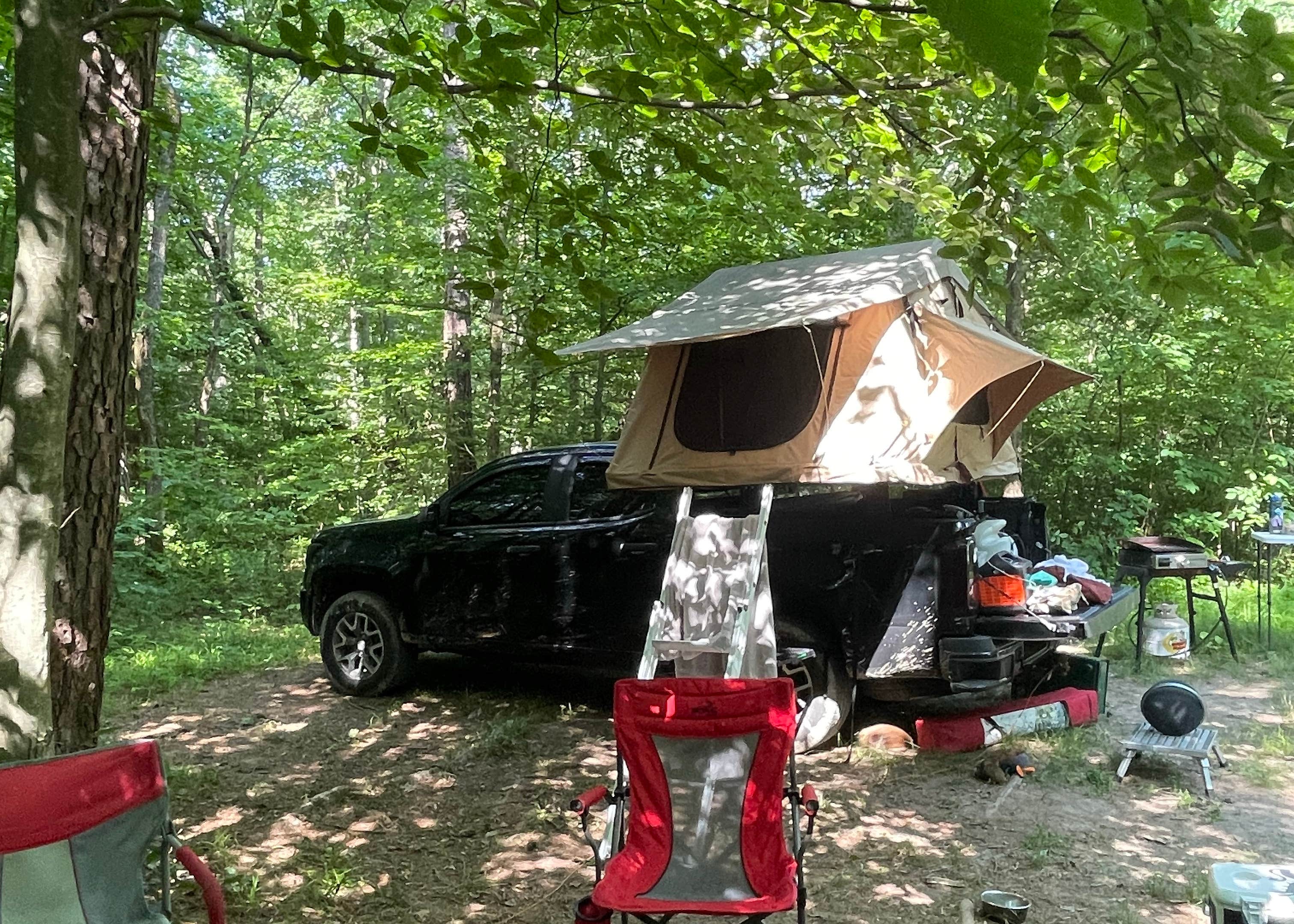 Berry Ridge Road - Dispersed Camping Camping | The Dyrt