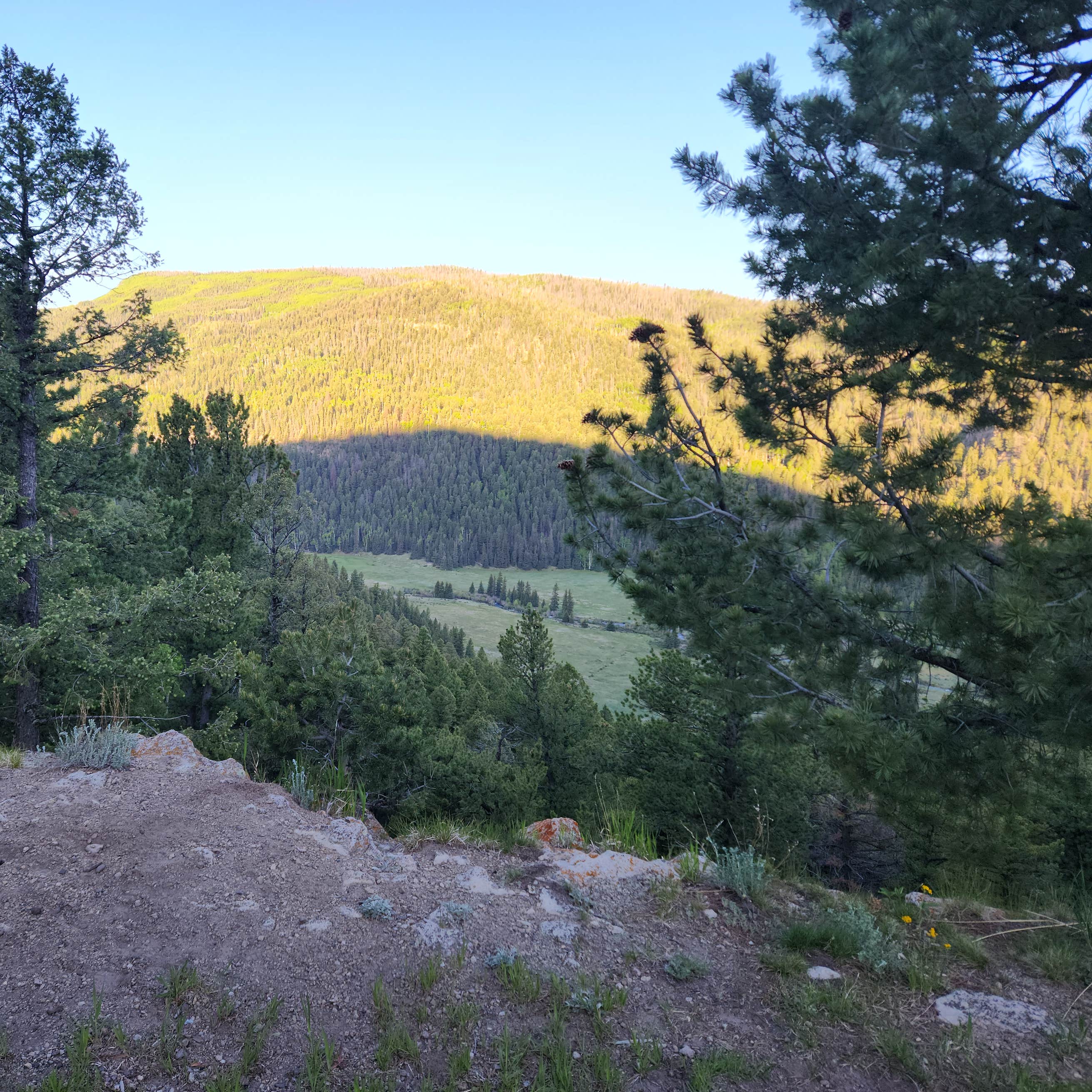 Beaver Creek Site 4 Camping | South Fork, Colorado
