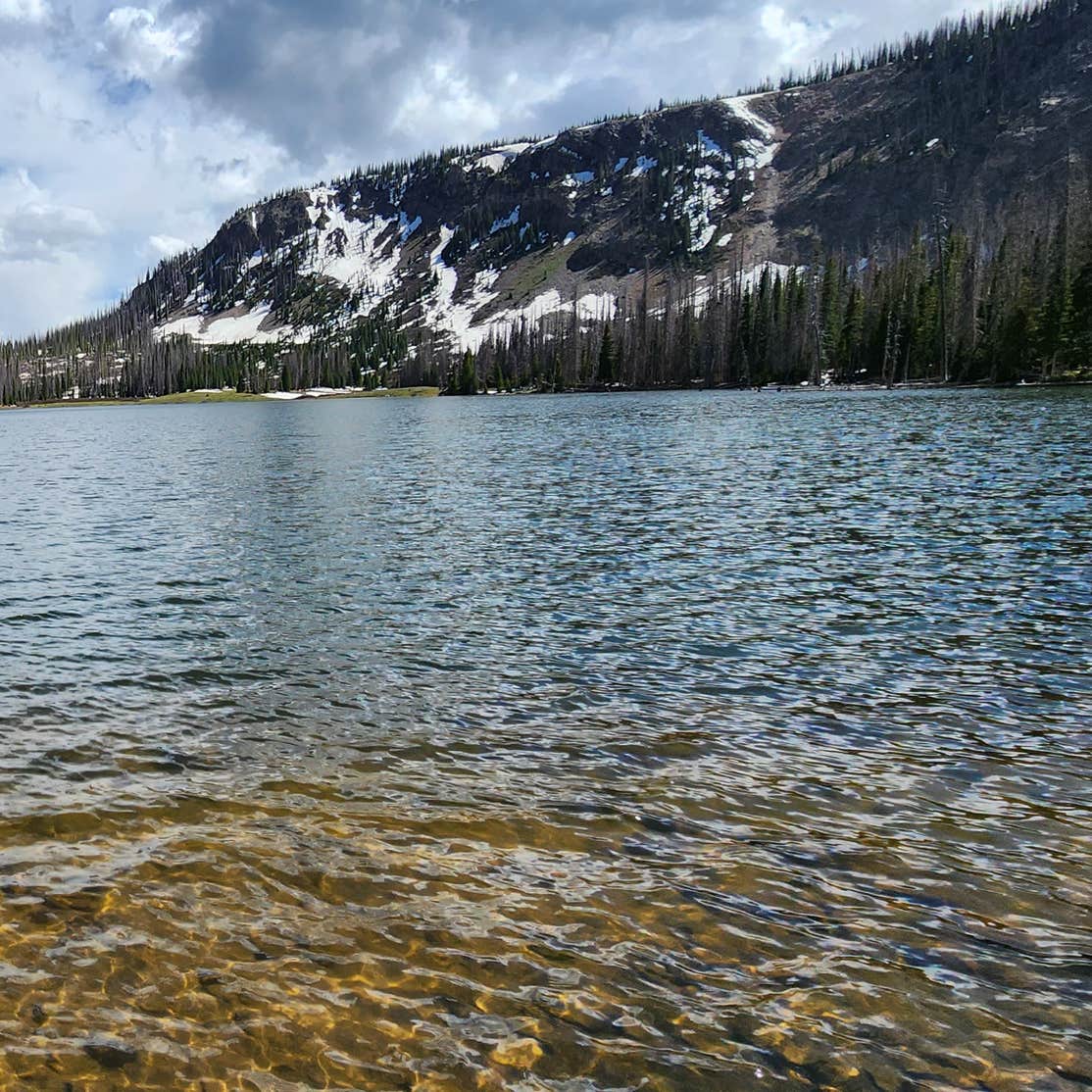 Beaver Creek Site 4 Camping | South Fork, Colorado