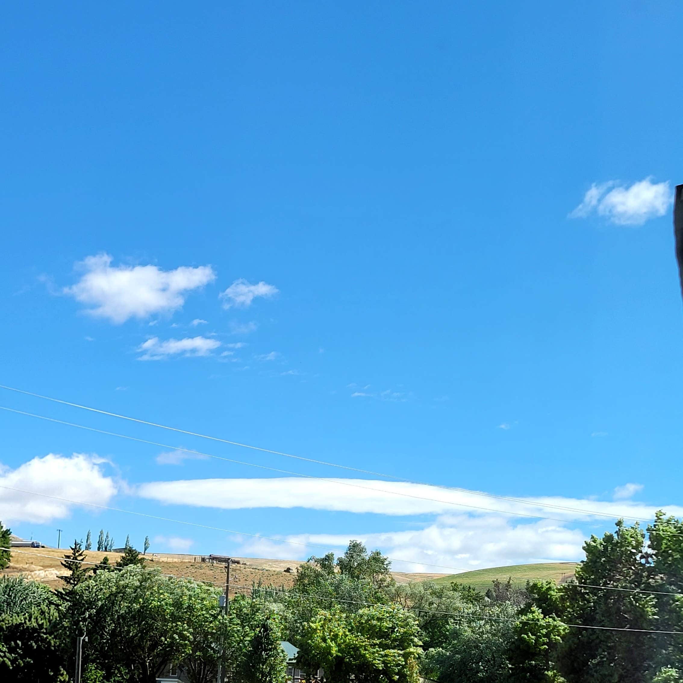 Pataha Campground Camping | The Dyrt