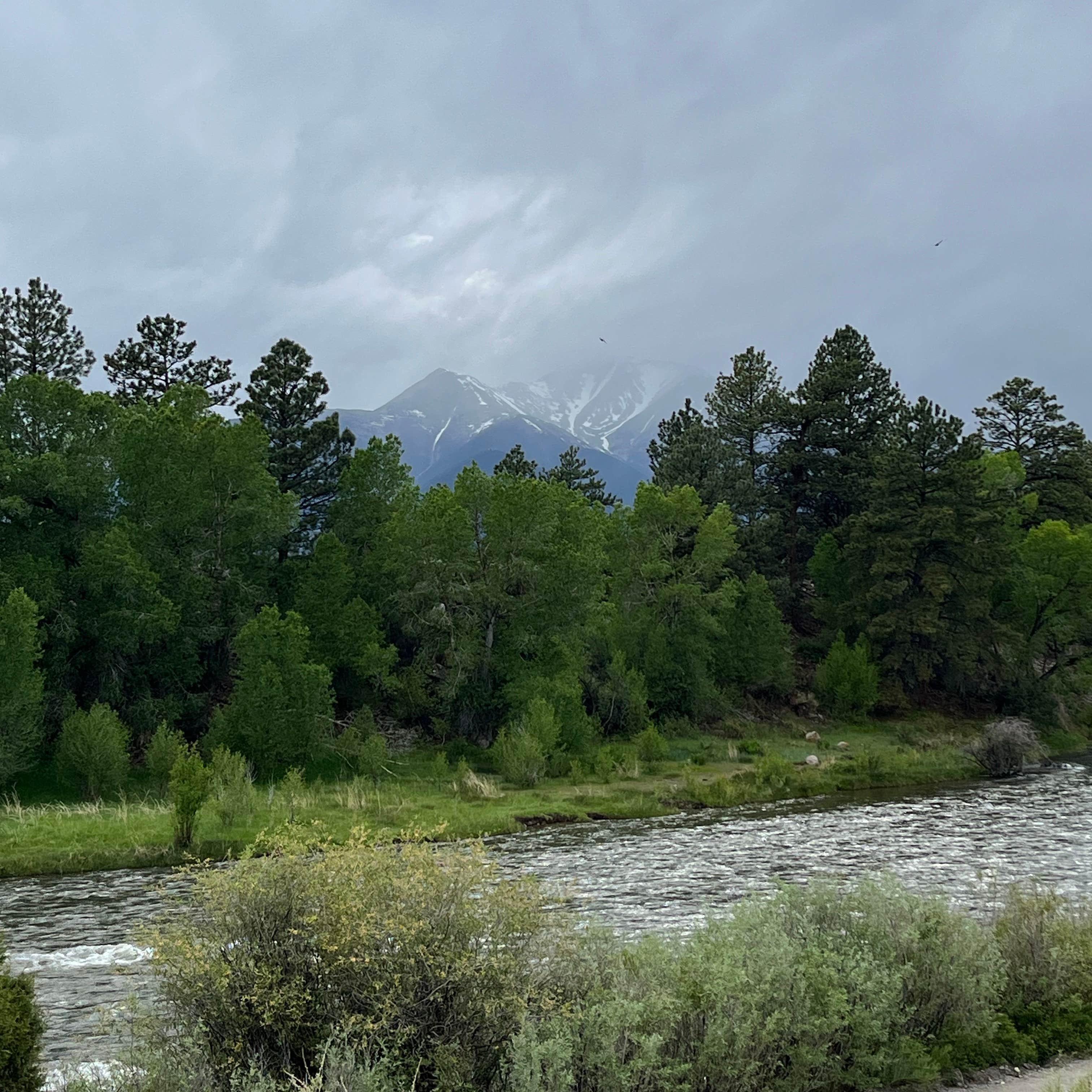 Ruby Mountain Campground — Arkansas Headwaters Recreation Area | Nathrop, Colorado
