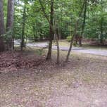 Louise F. Cosca Regional Park Camping | The Dyrt