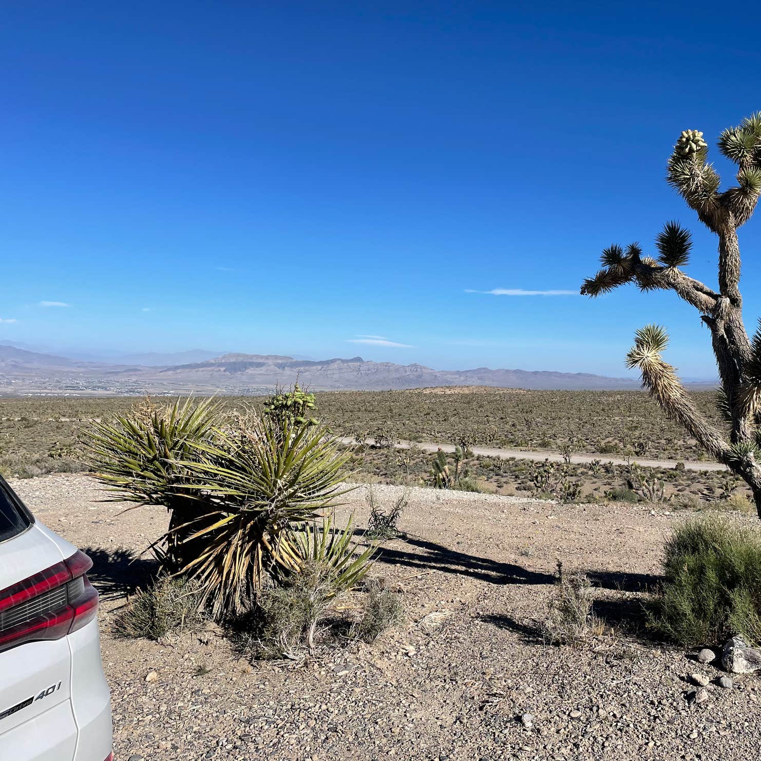 Wheeler Pass Road Dispersed Camping | Pahrump, Nevada