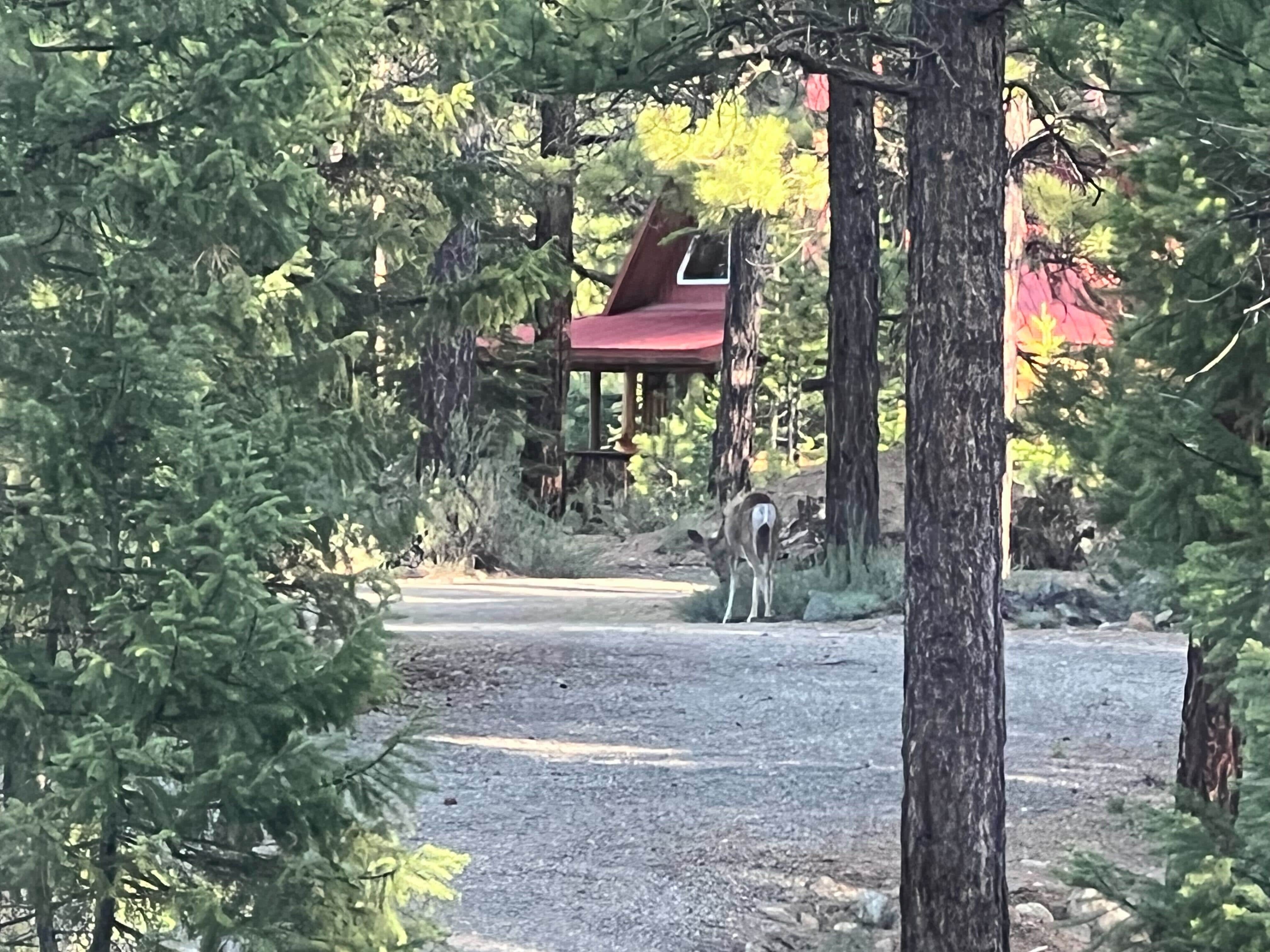 Gold Rush RV Park | Sumpter, OR