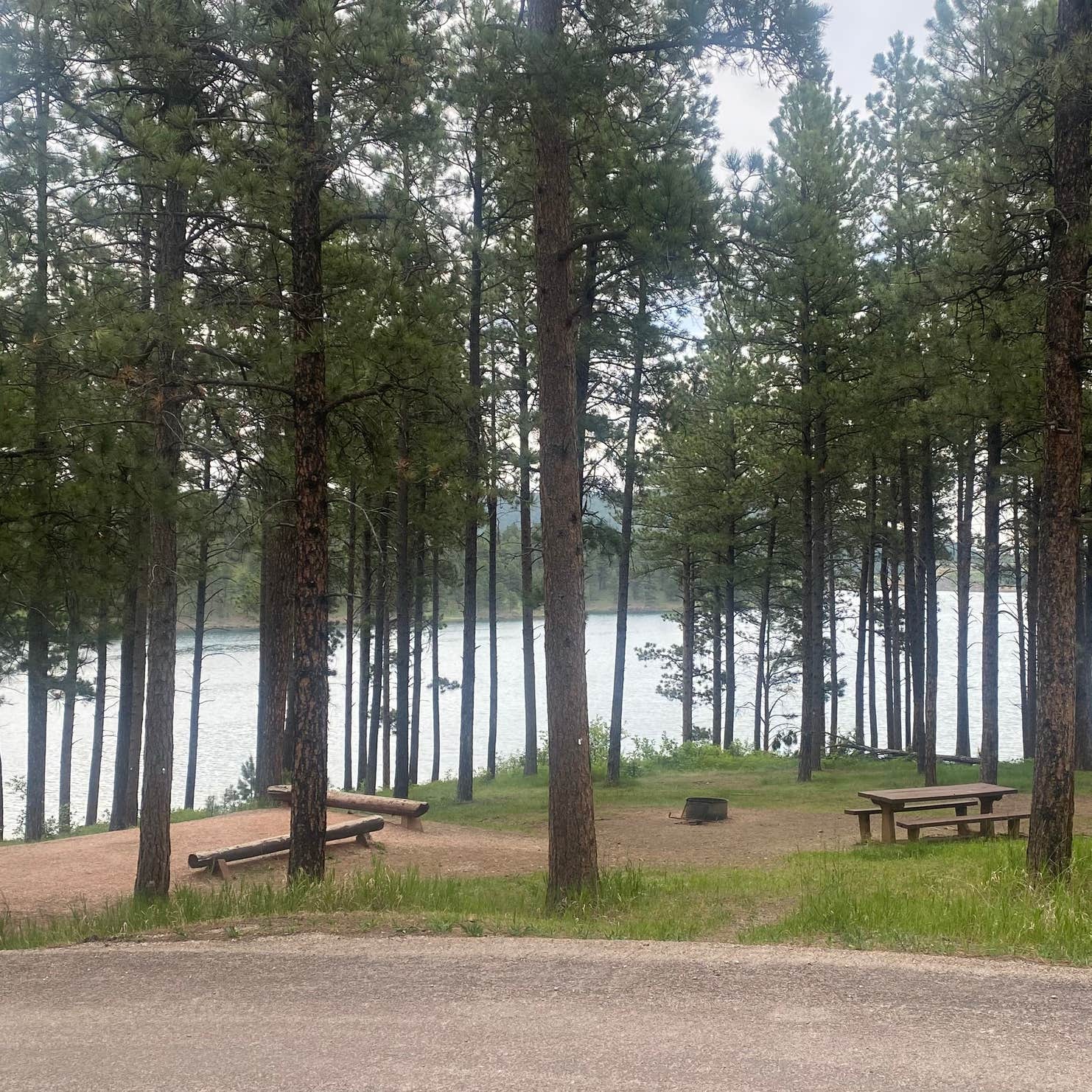 Pactola Reservoir Campground | Silver City, South Dakota