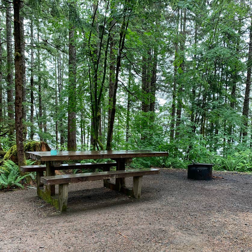 Coho Campground | Quilcene, WA