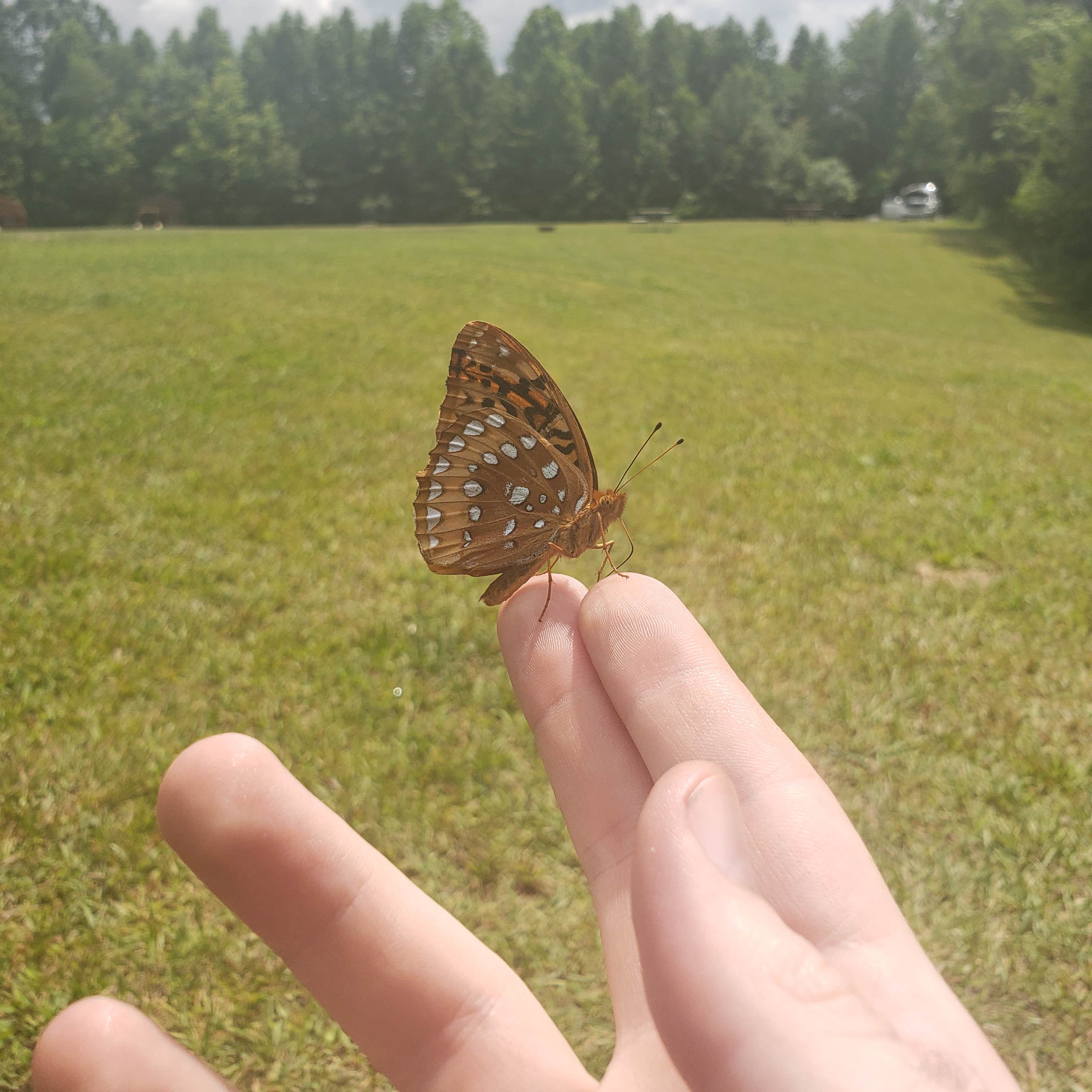 Lago Linda Hideaway Camping | Beattyville, Kentucky