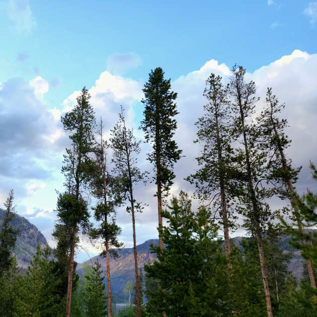 Moon Lake Campground | Mountain Home, Utah