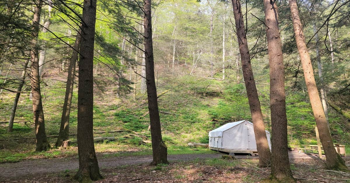 Camper-Submitted Photos of Tentrr State Park Site - Big Run State Park ...