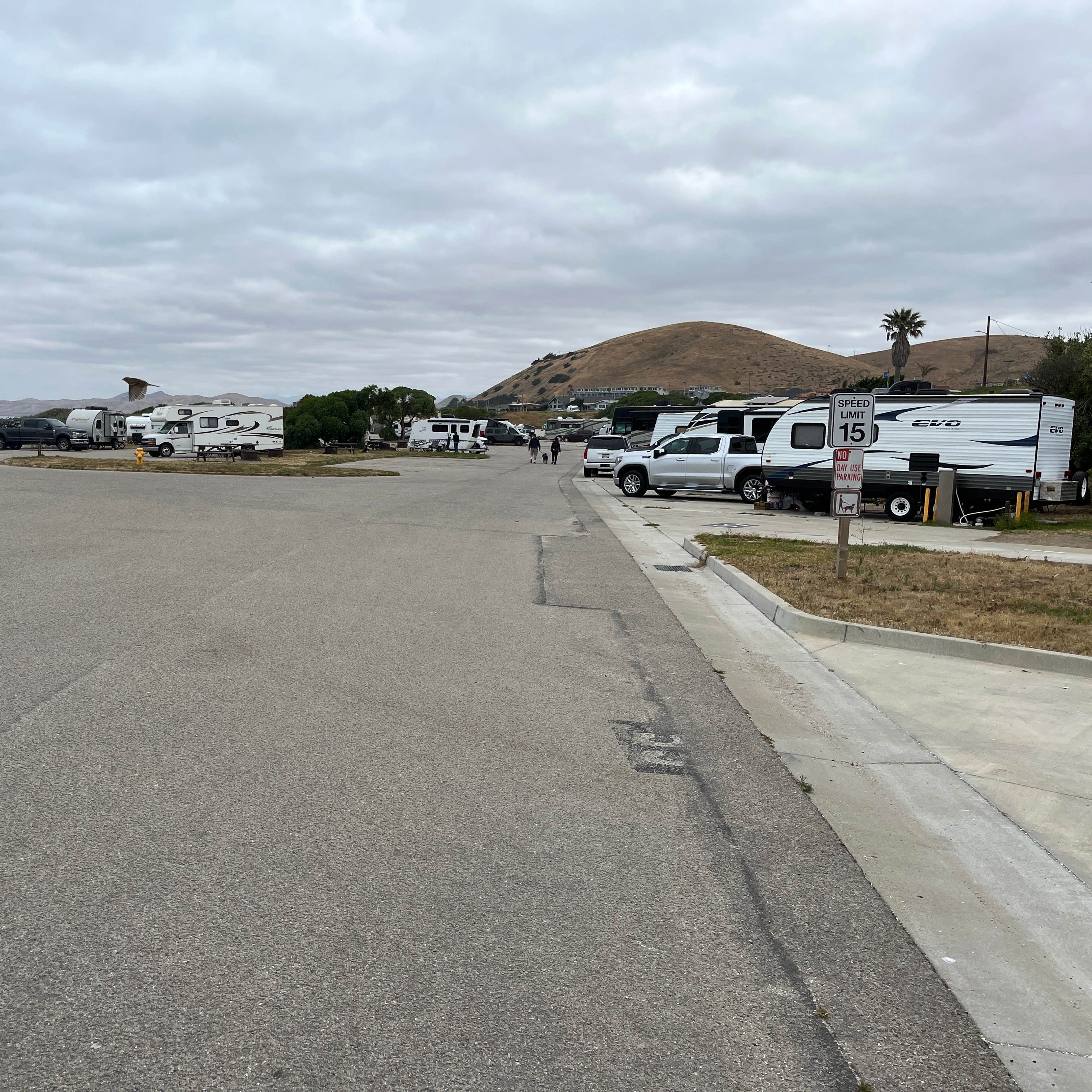 Morro Strand State Beach Campground | Morro Bay, California