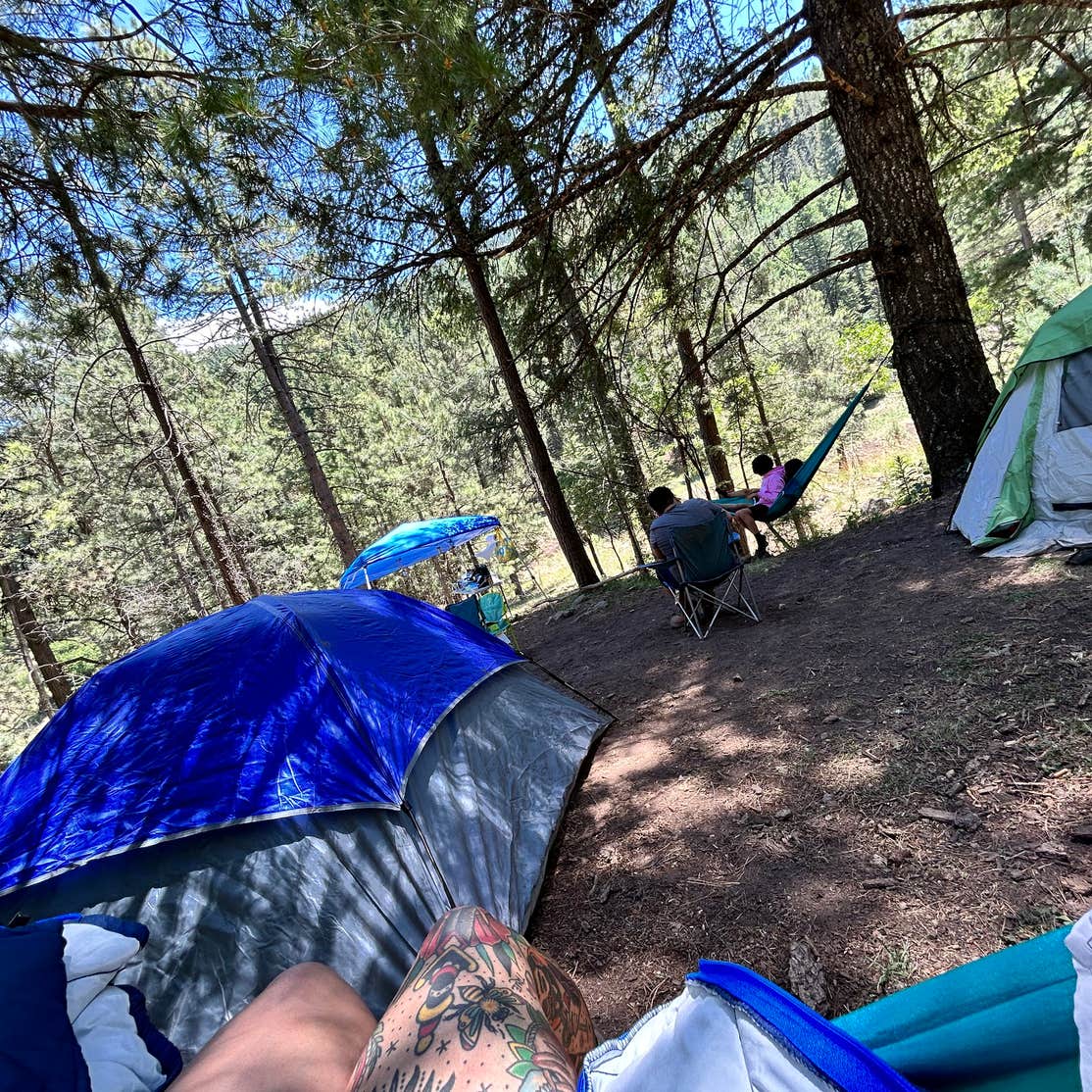 Bluff Springs Campground | Jay, FL