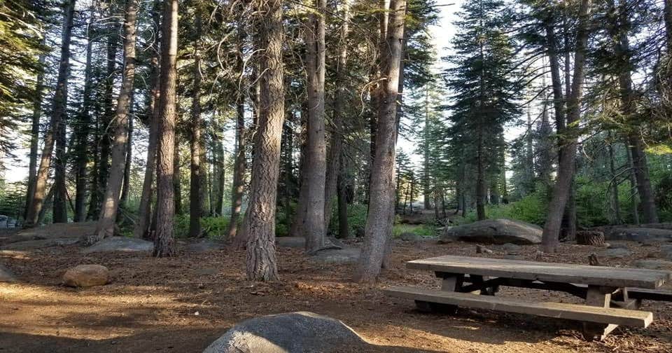 Big Meadows Campground | Alpine Meadows, CA