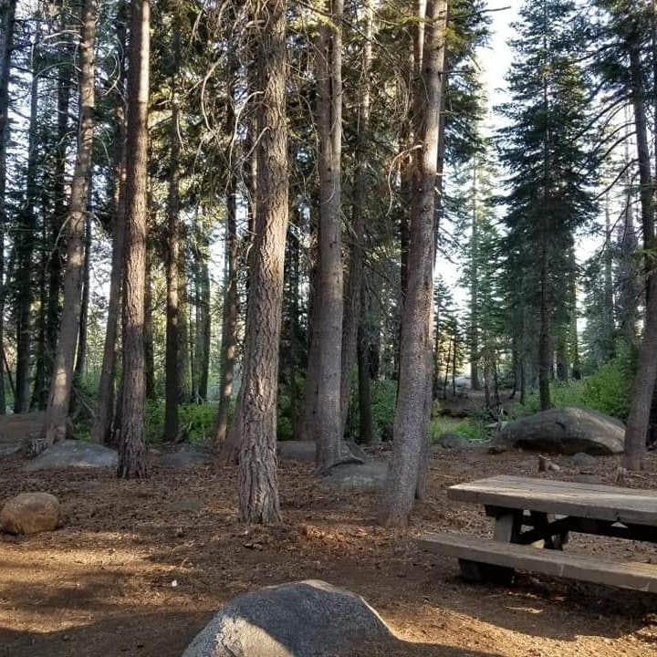 Big Meadows Campground | Alpine Meadows, California