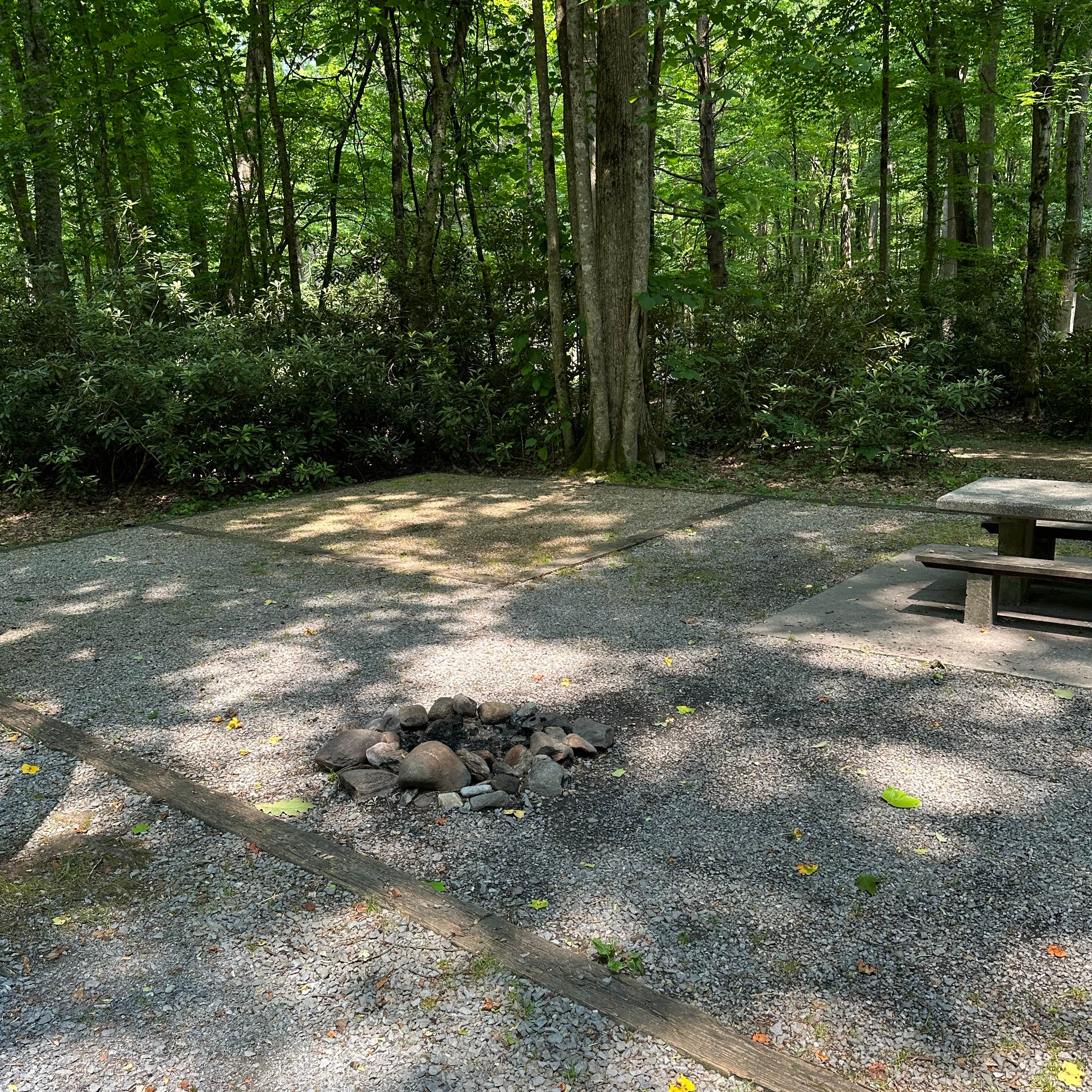 Roan Mountain State Park Campground | Roan Mountain, Tennessee