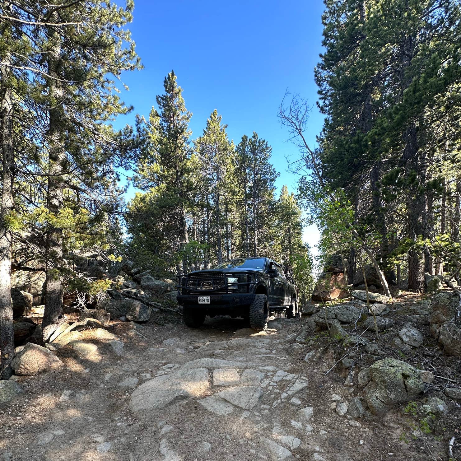 Bill Moore Lake dispersed Camping | The Dyrt