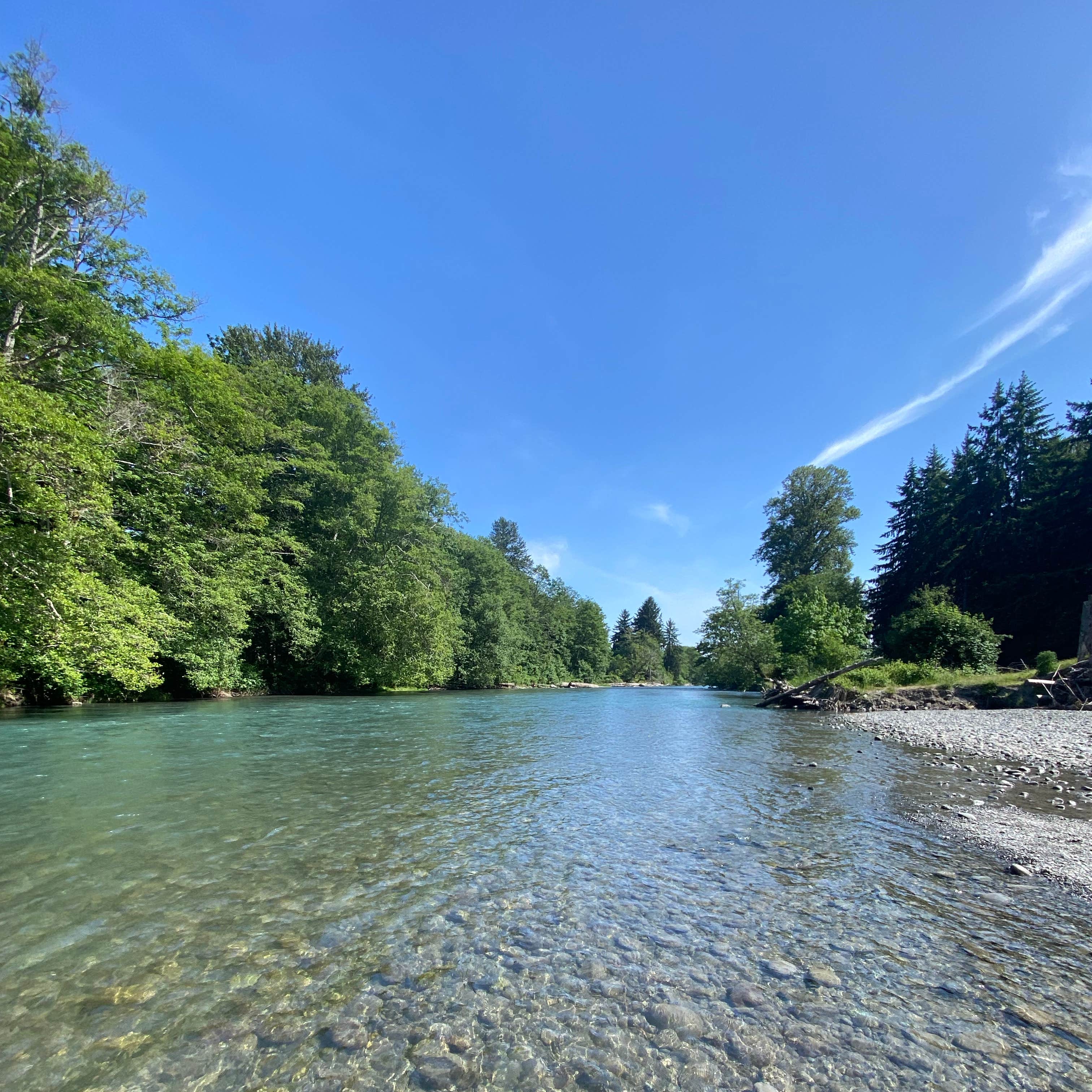 Dosewallips State Park Campground | Brinnon, Washington