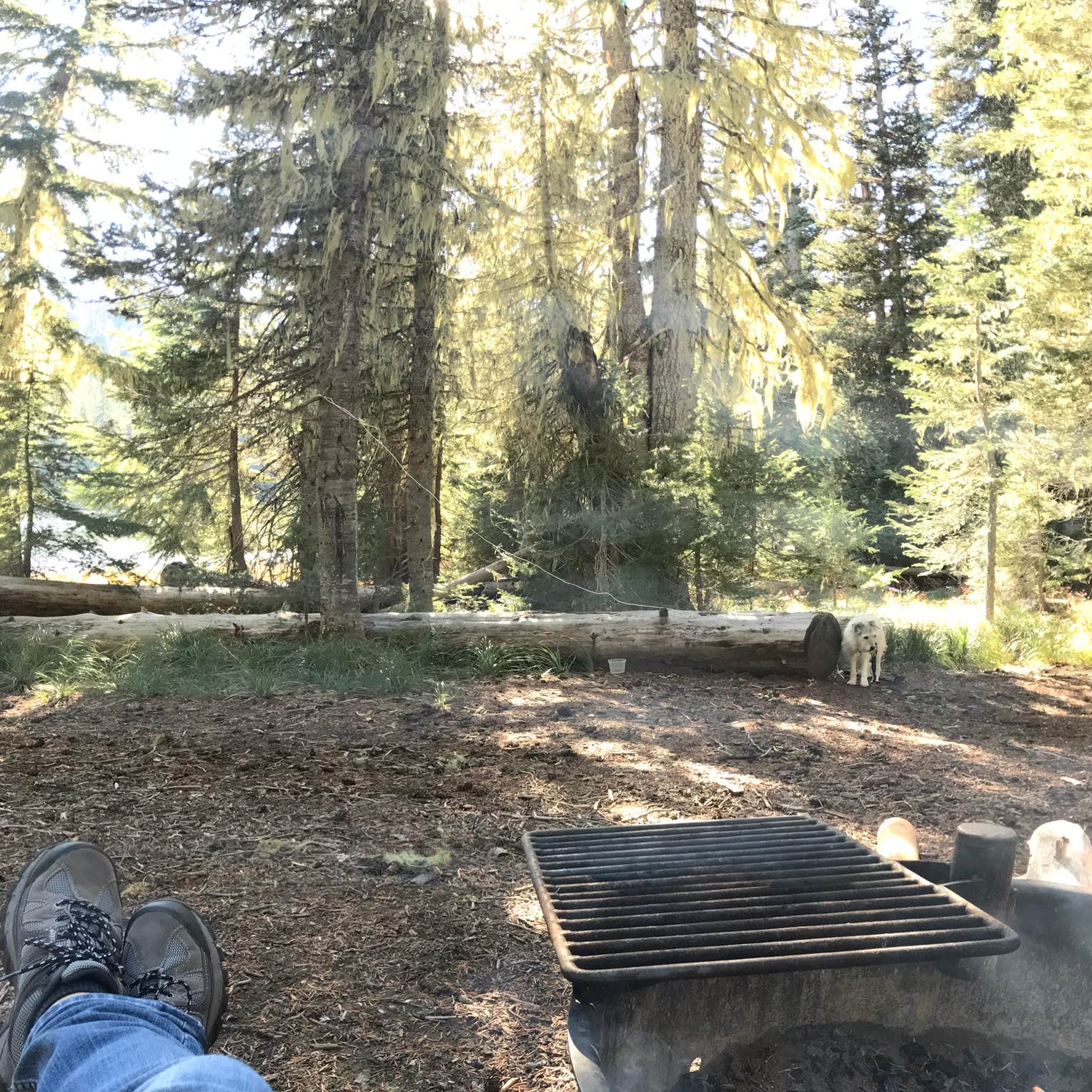 Scott Lake Campground Camping | The Dyrt