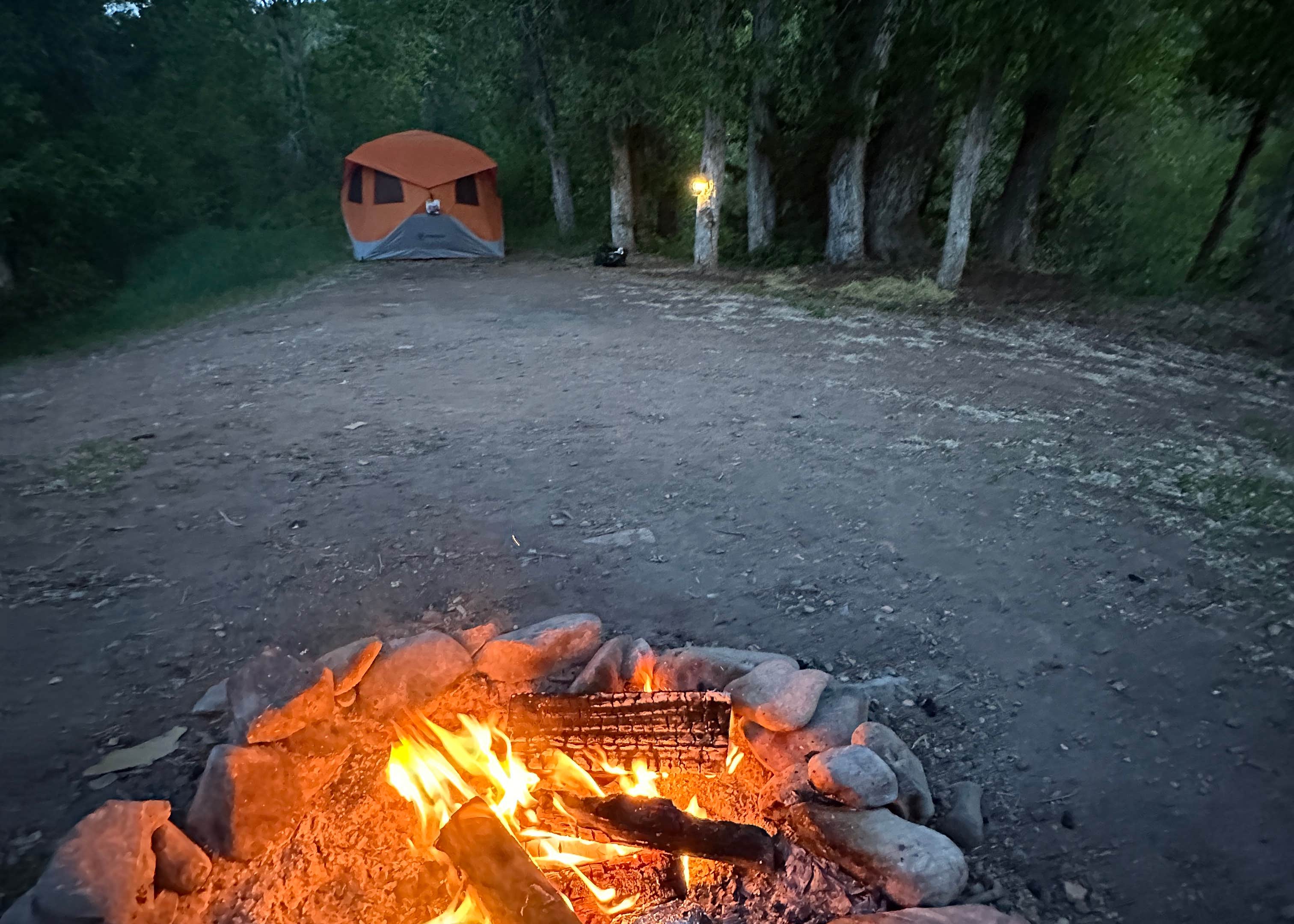 Nebo Loop Road Dispersed Camping Camping | The Dyrt