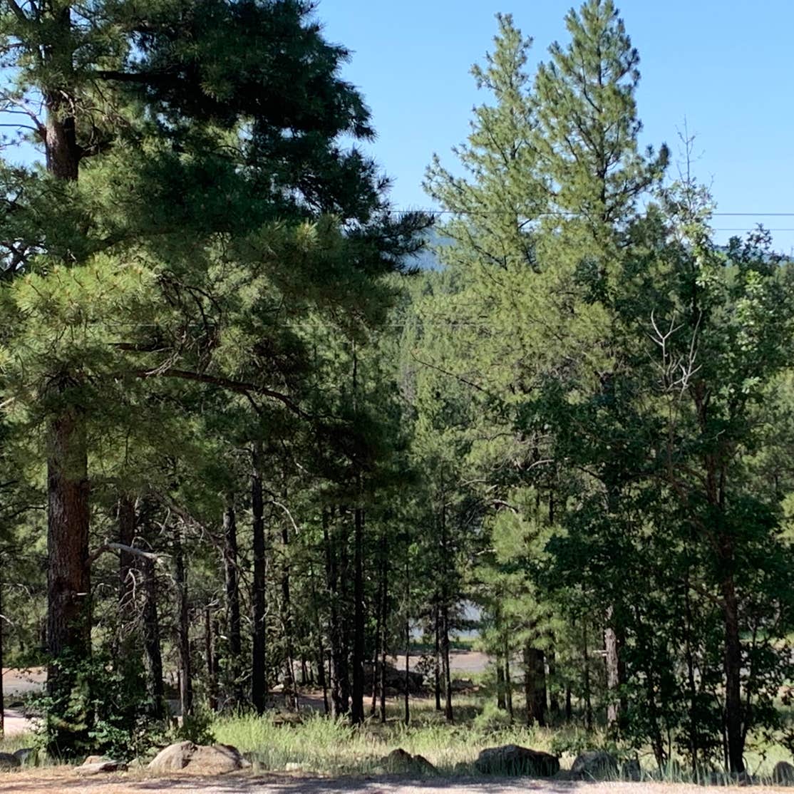 Lakeview Campground (Az) — Coconino National Forest Recreation ...