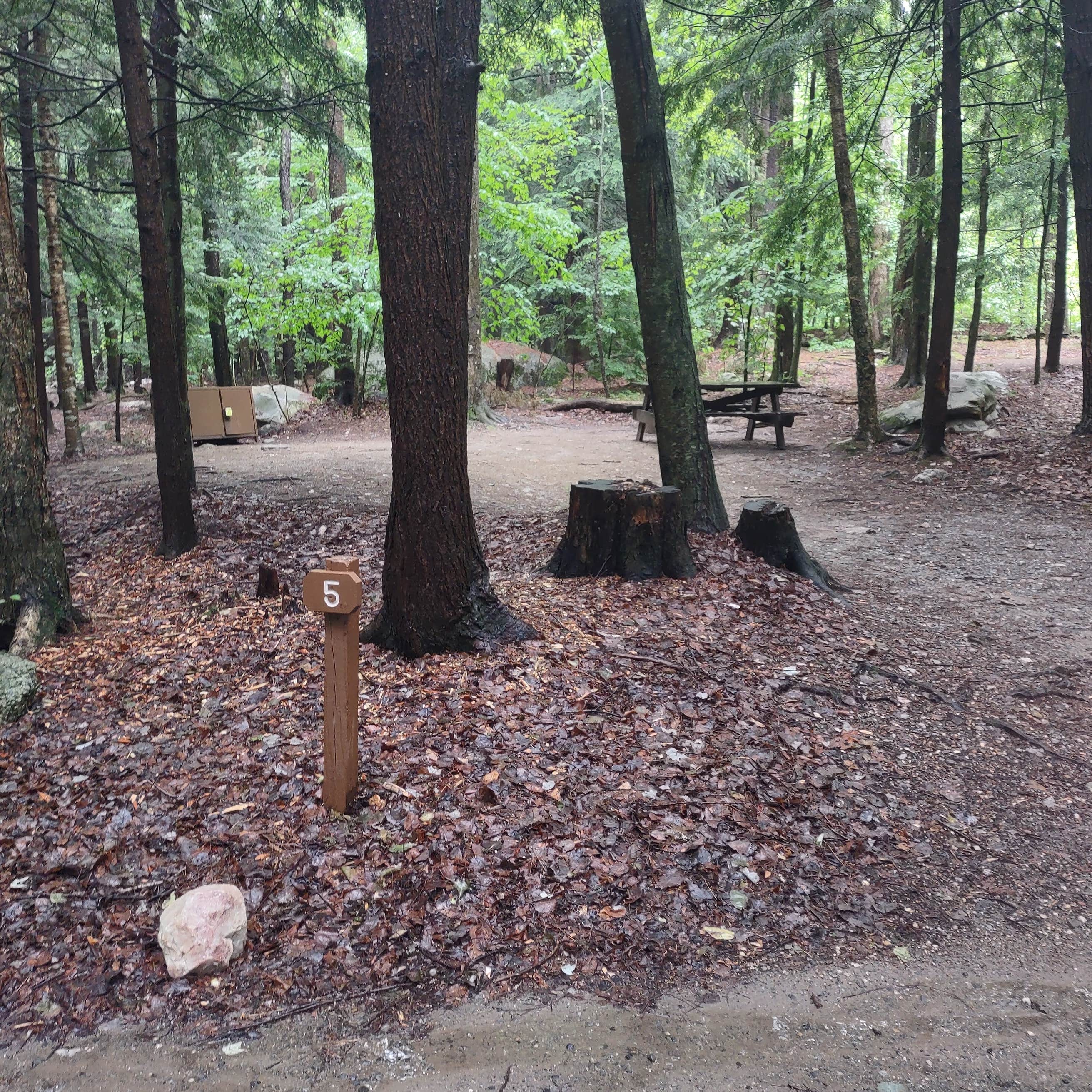 Clarksburg State Park Camping | The Dyrt