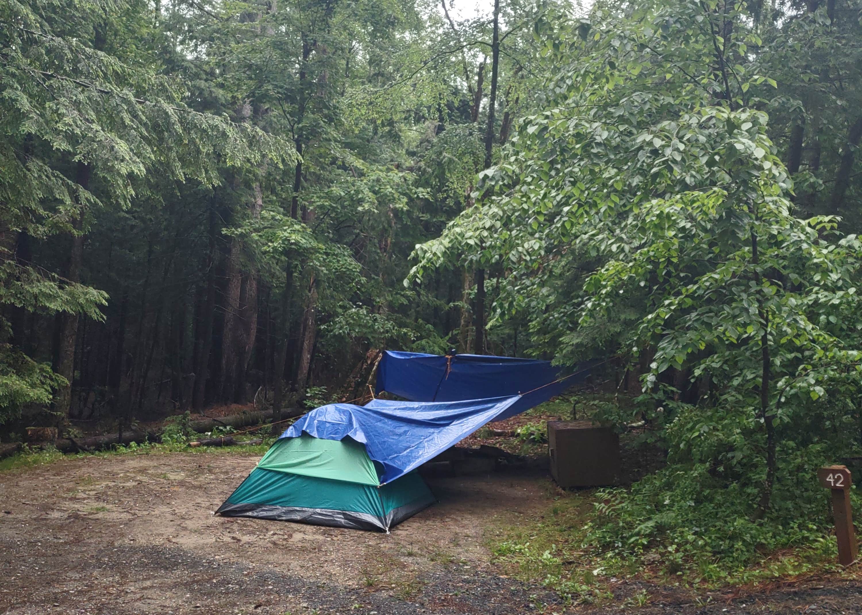 Clarksburg State Park Camping | The Dyrt