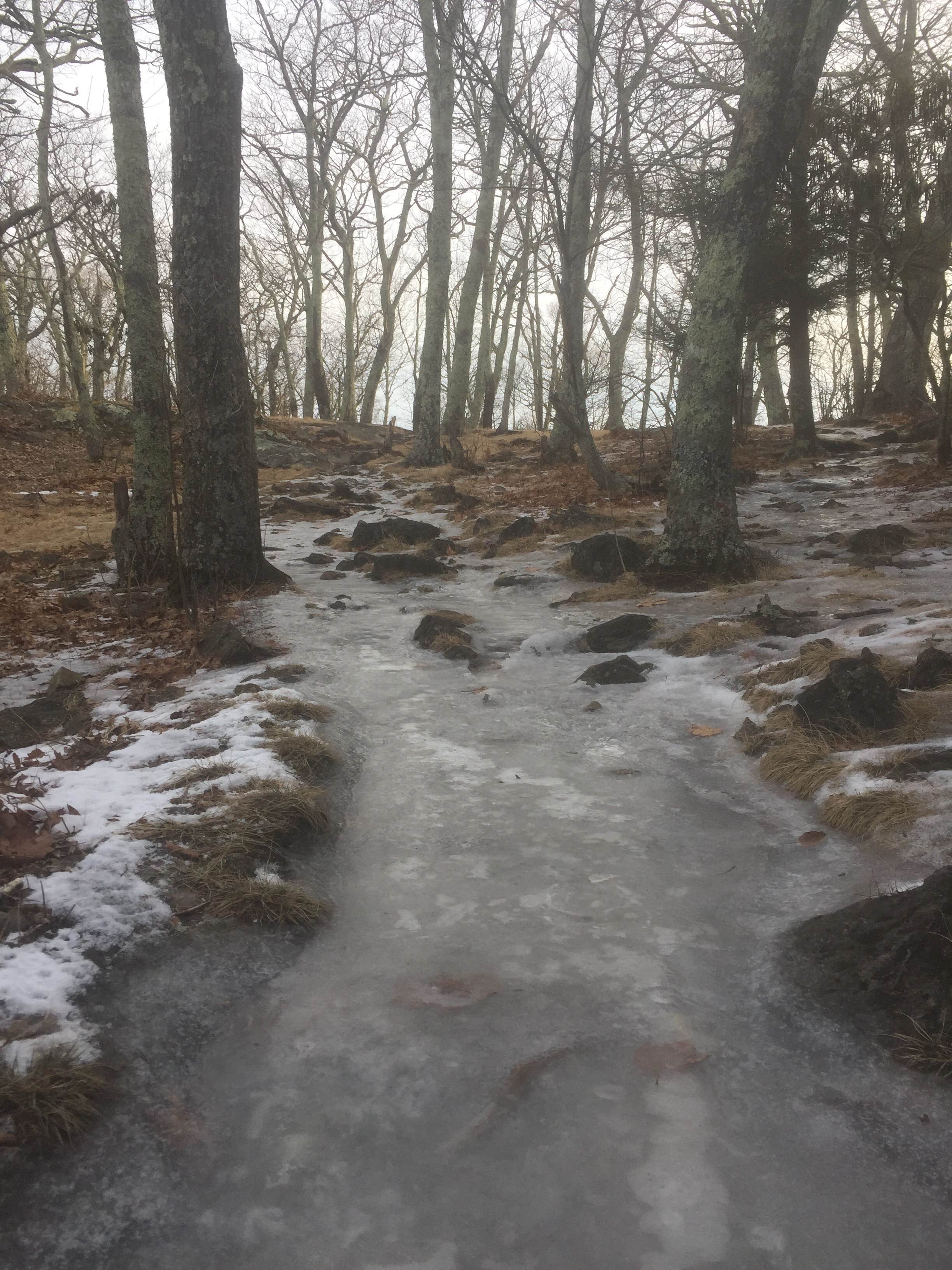 Spy Rock Camping | Montebello, VA