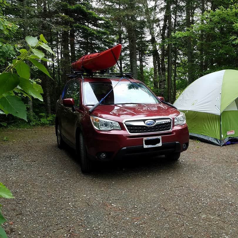 Moosehead Family Campground Camping | The Dyrt