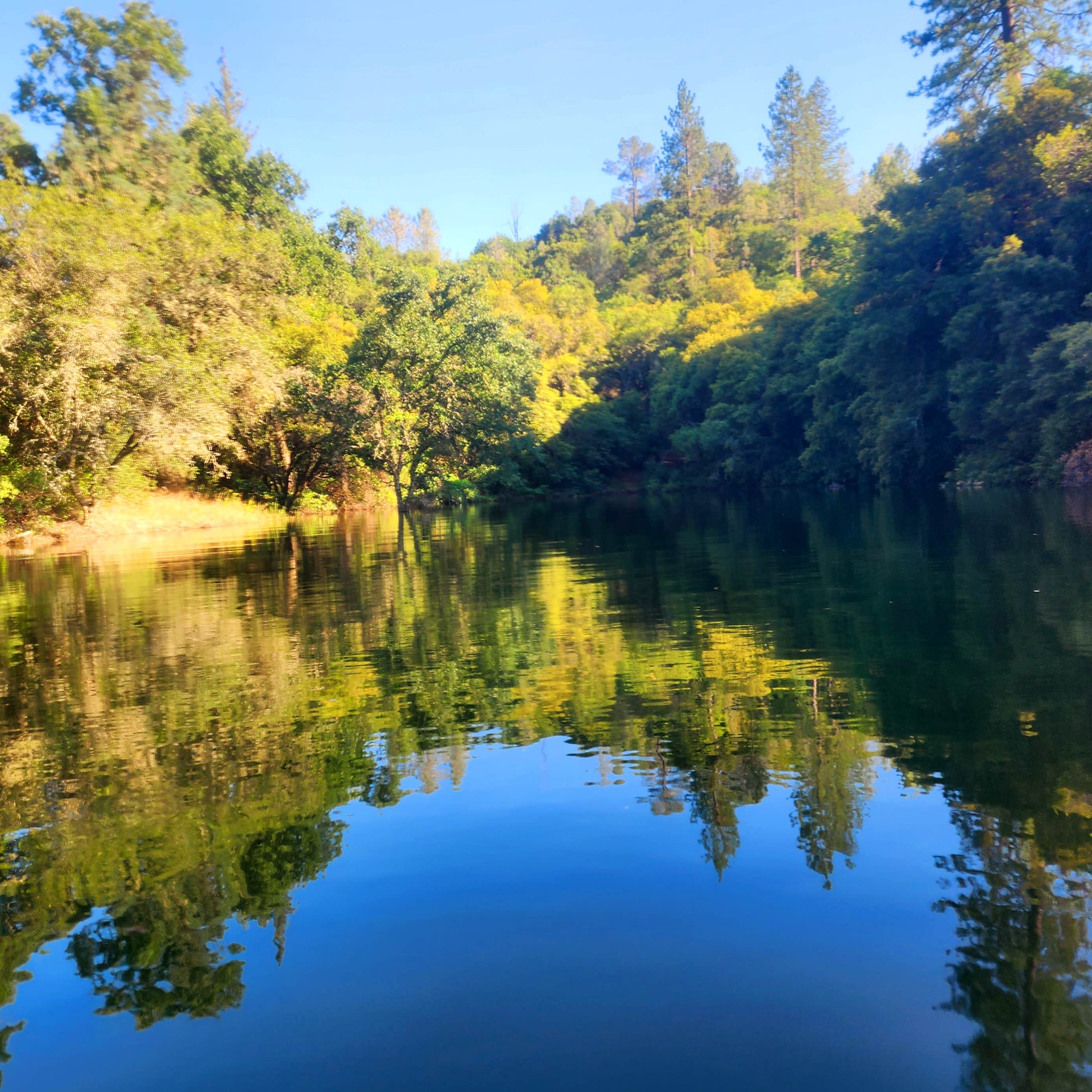 Bidwell Canyon Campground — Lake Oroville State Recreation Area ...