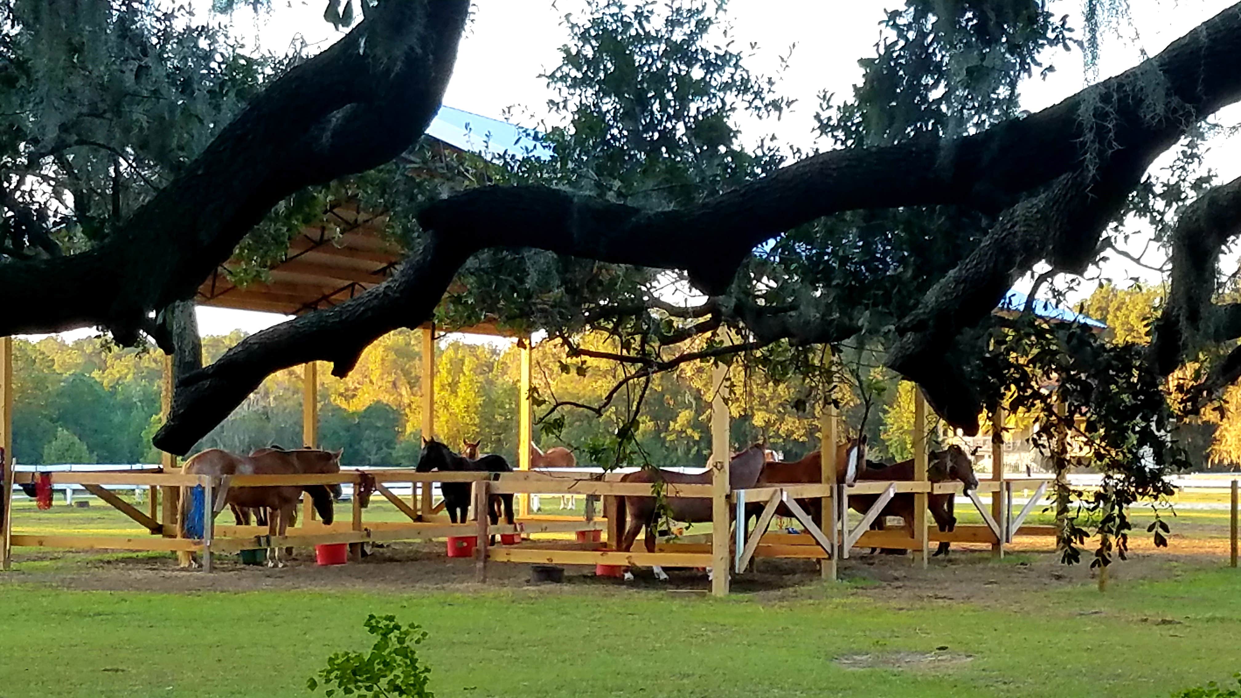 Red Gate Farms - RV Resort | Savannah, GA