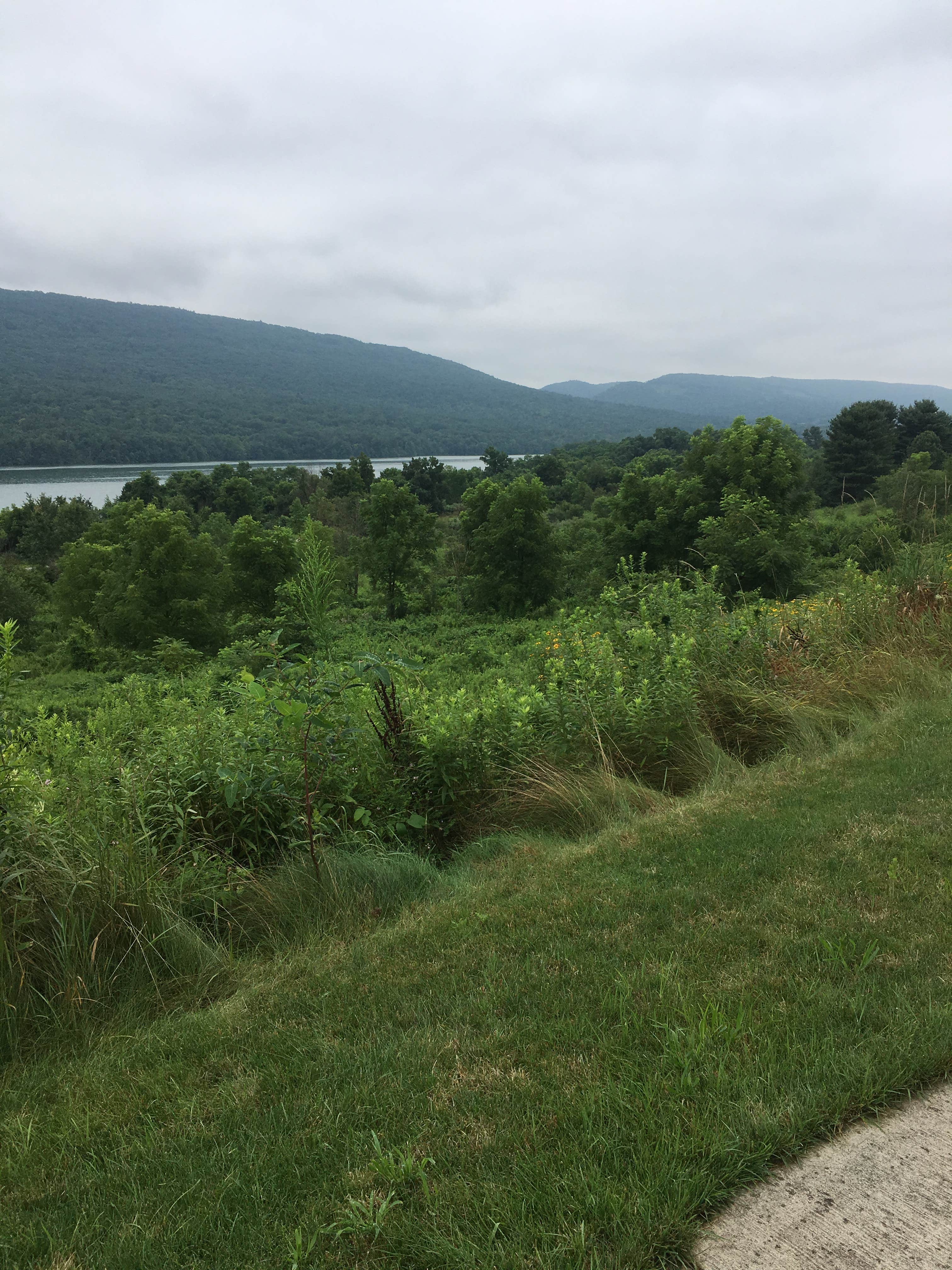 Russell P Letterman Campground — Bald Eagle State Park | Howard, PA