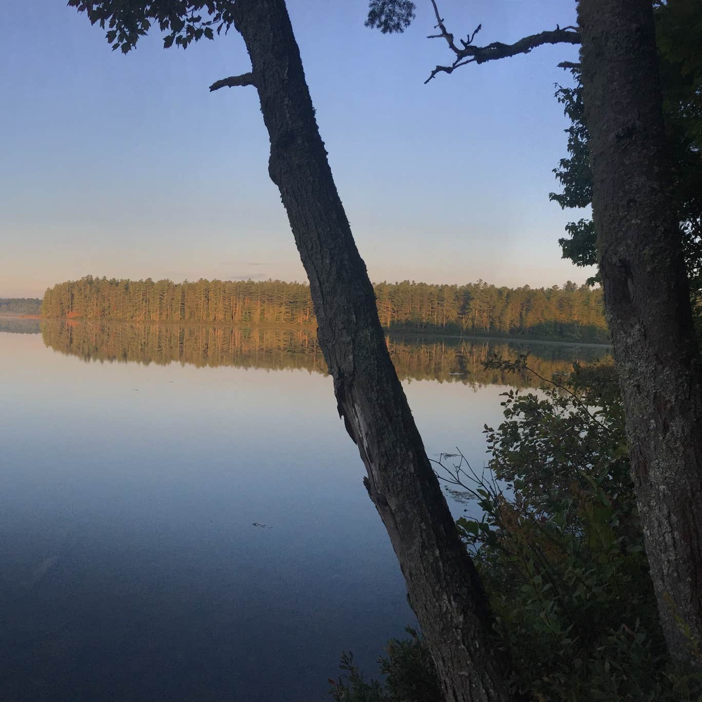 Jones Pond Campground | Fillmore, New York