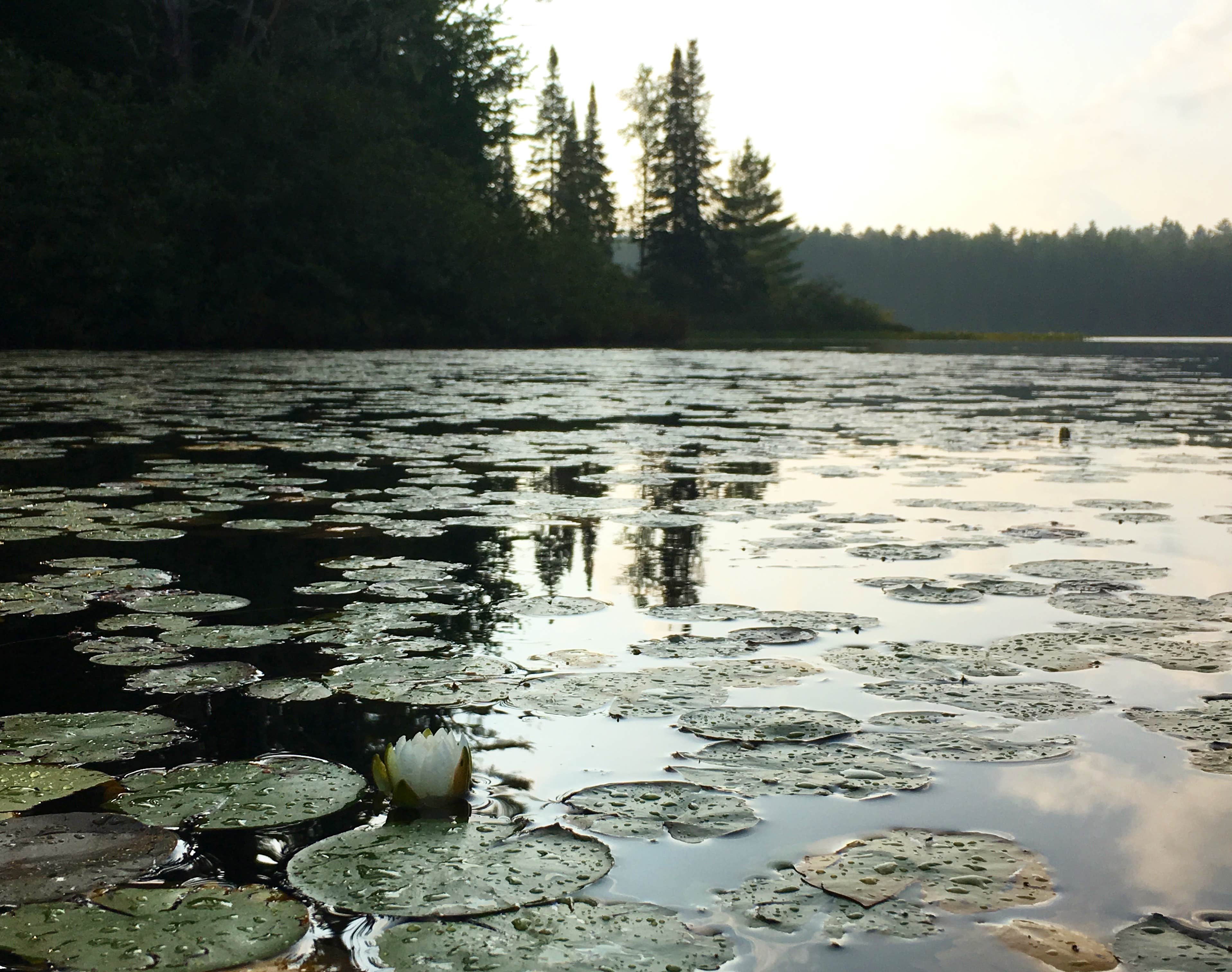 Jones Pond Campground | Fillmore, NY