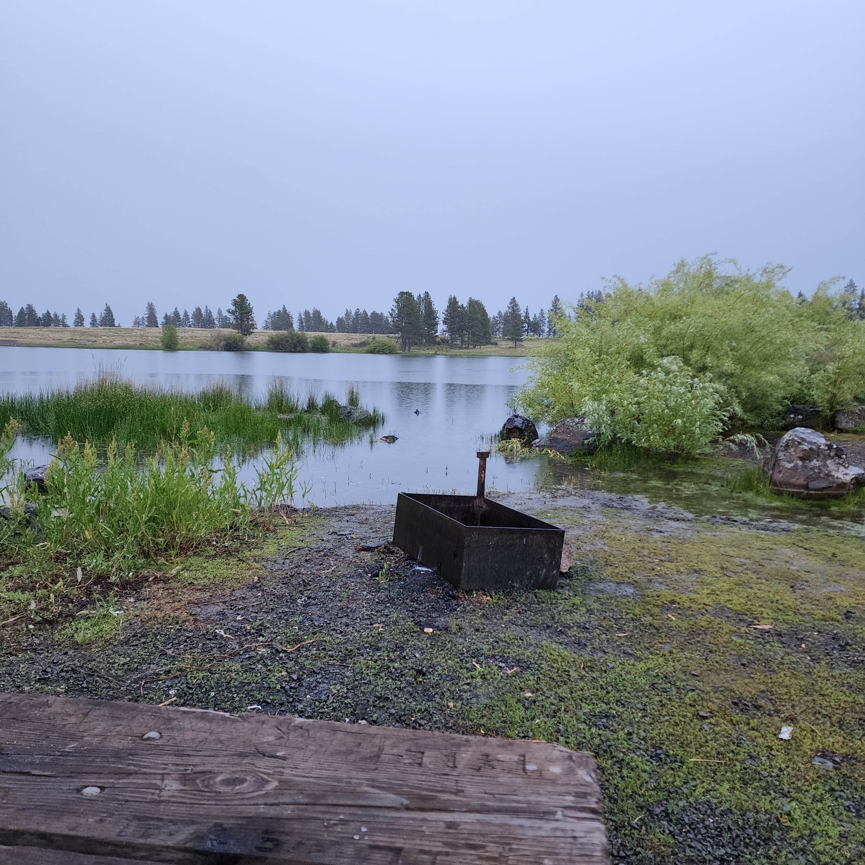 Morgan Lake - TEMPORARILY CLOSED Camping | La Grande, OR