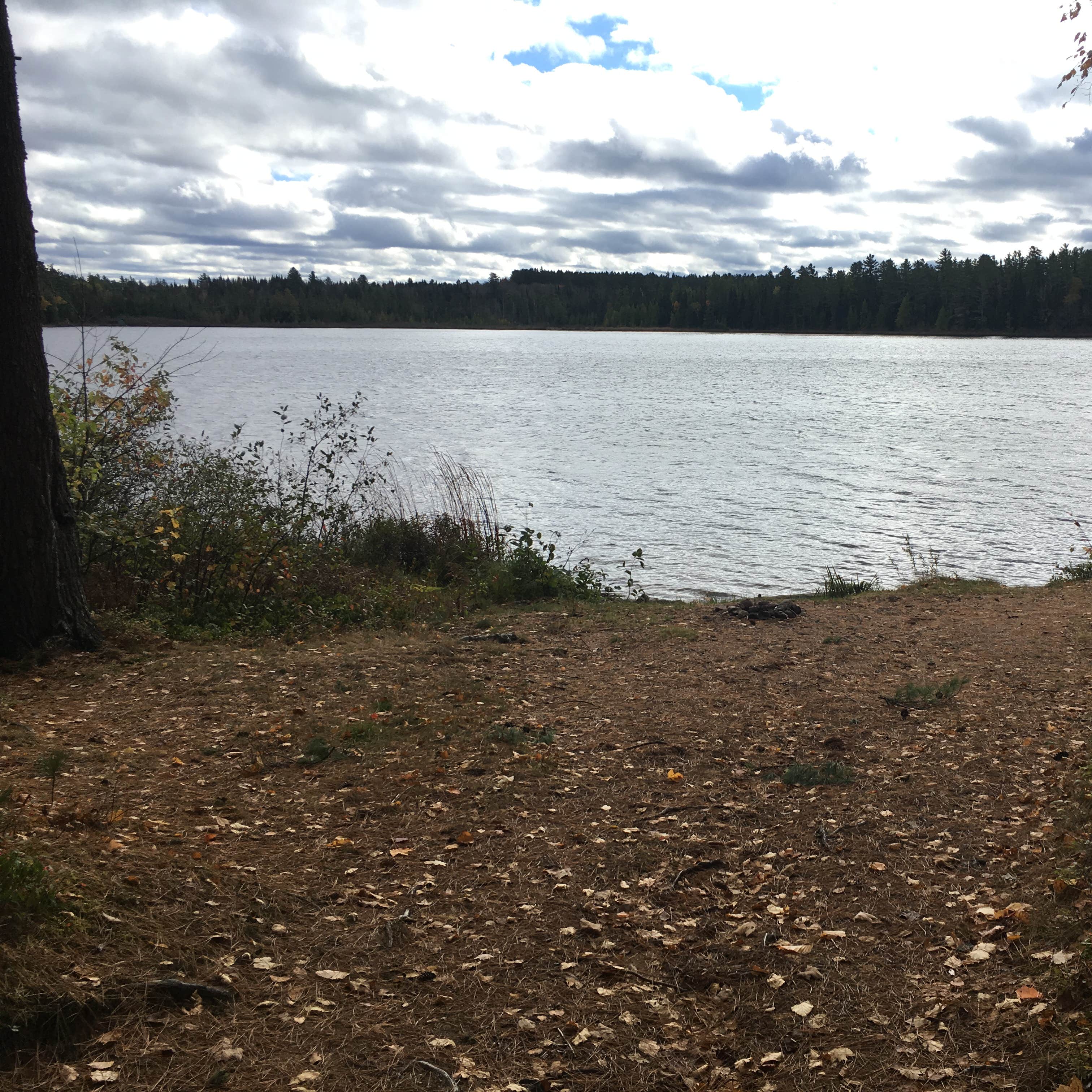Jones Pond Campground Camping | The Dyrt
