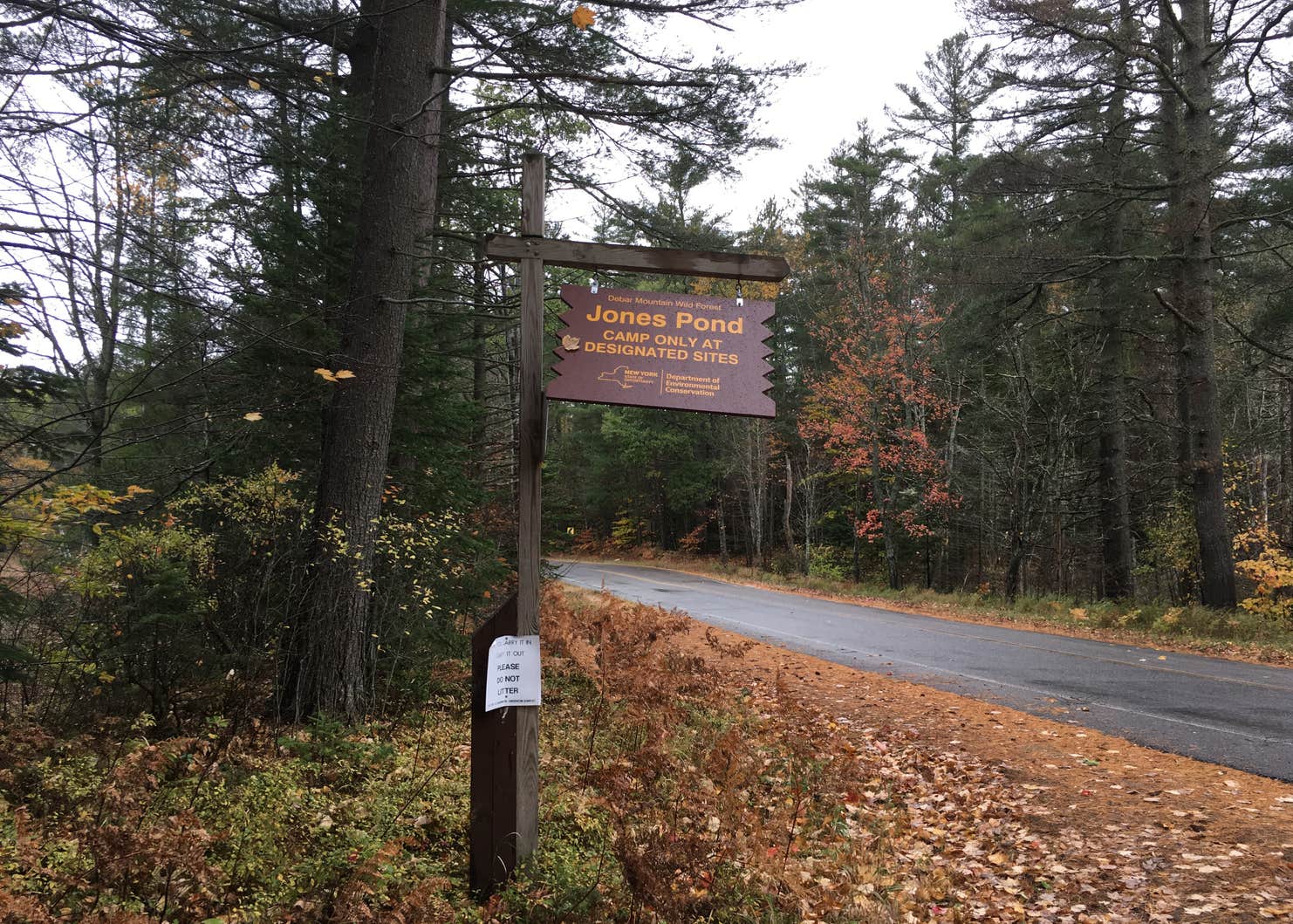 Jones Pond Campground Camping | The Dyrt