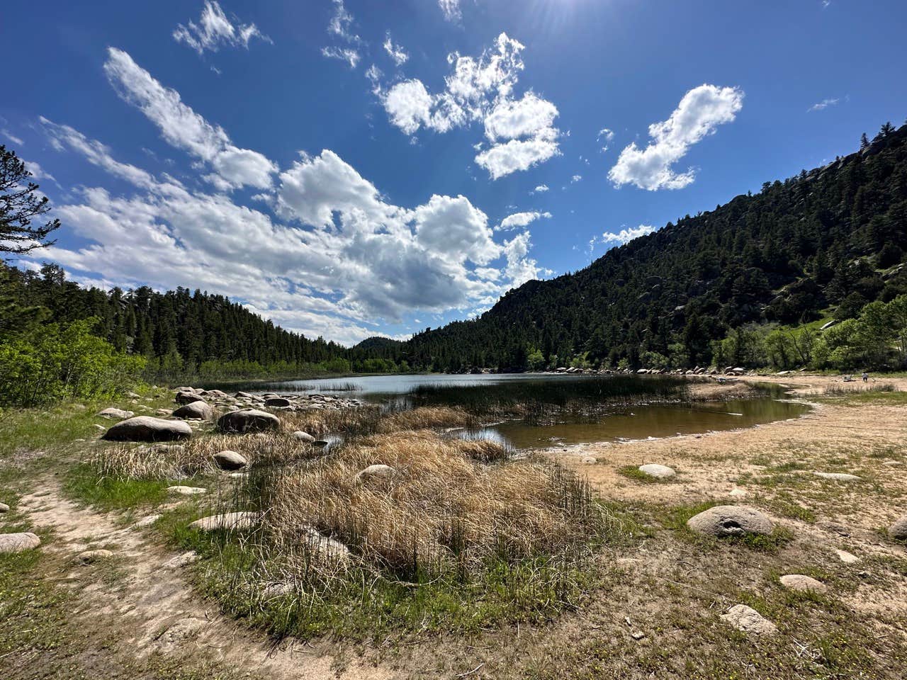 Lost Lake Dispersed Camping | Red Feather Lakes, CO