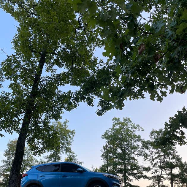 Arlie Moore - De Gray Lake Camping | Arkadelphia, AR