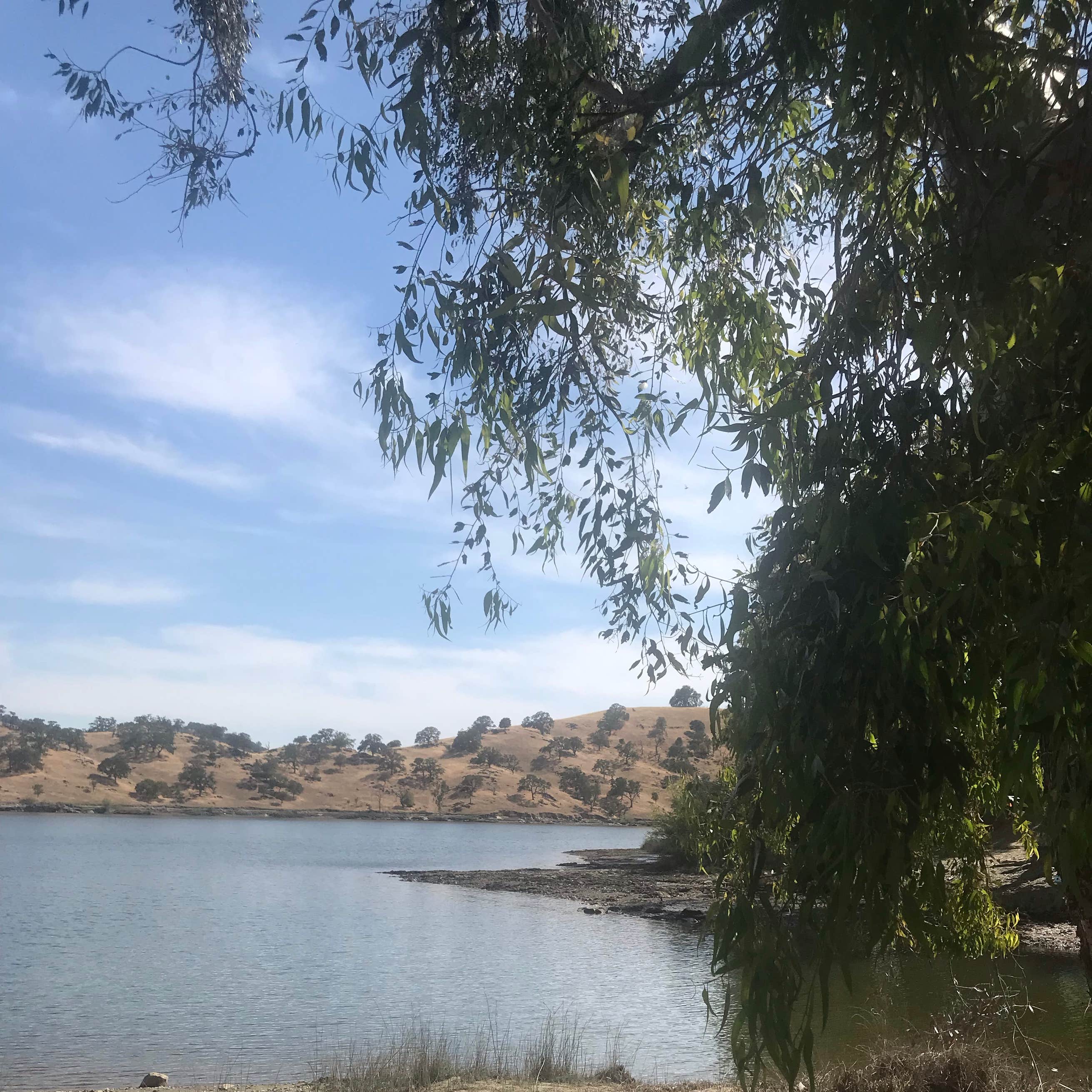 Lake McSwain Recreation Area Camping | La Grange, California