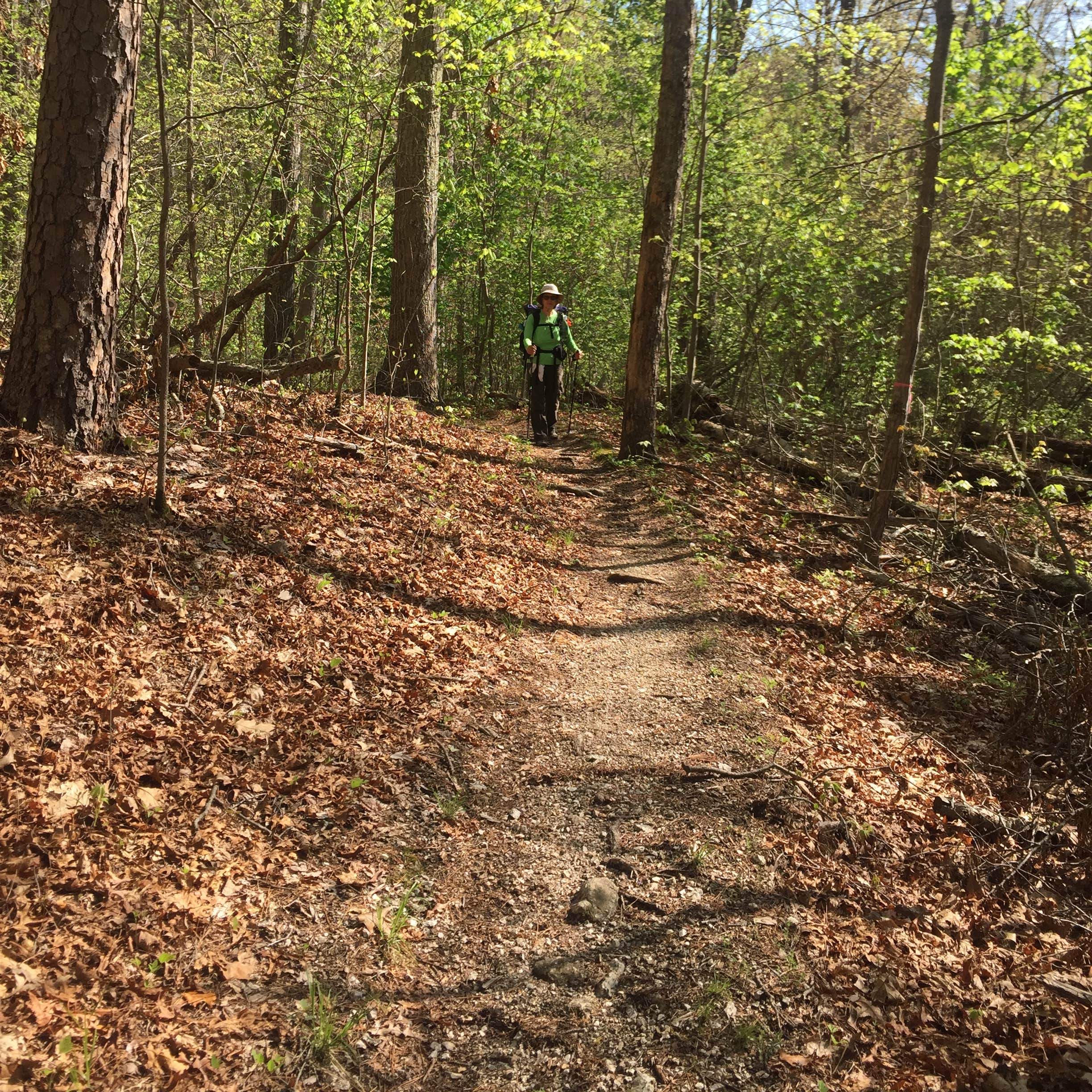 Berryman Trail & Campgrounds - Mark Twain National Forest Camping | The ...